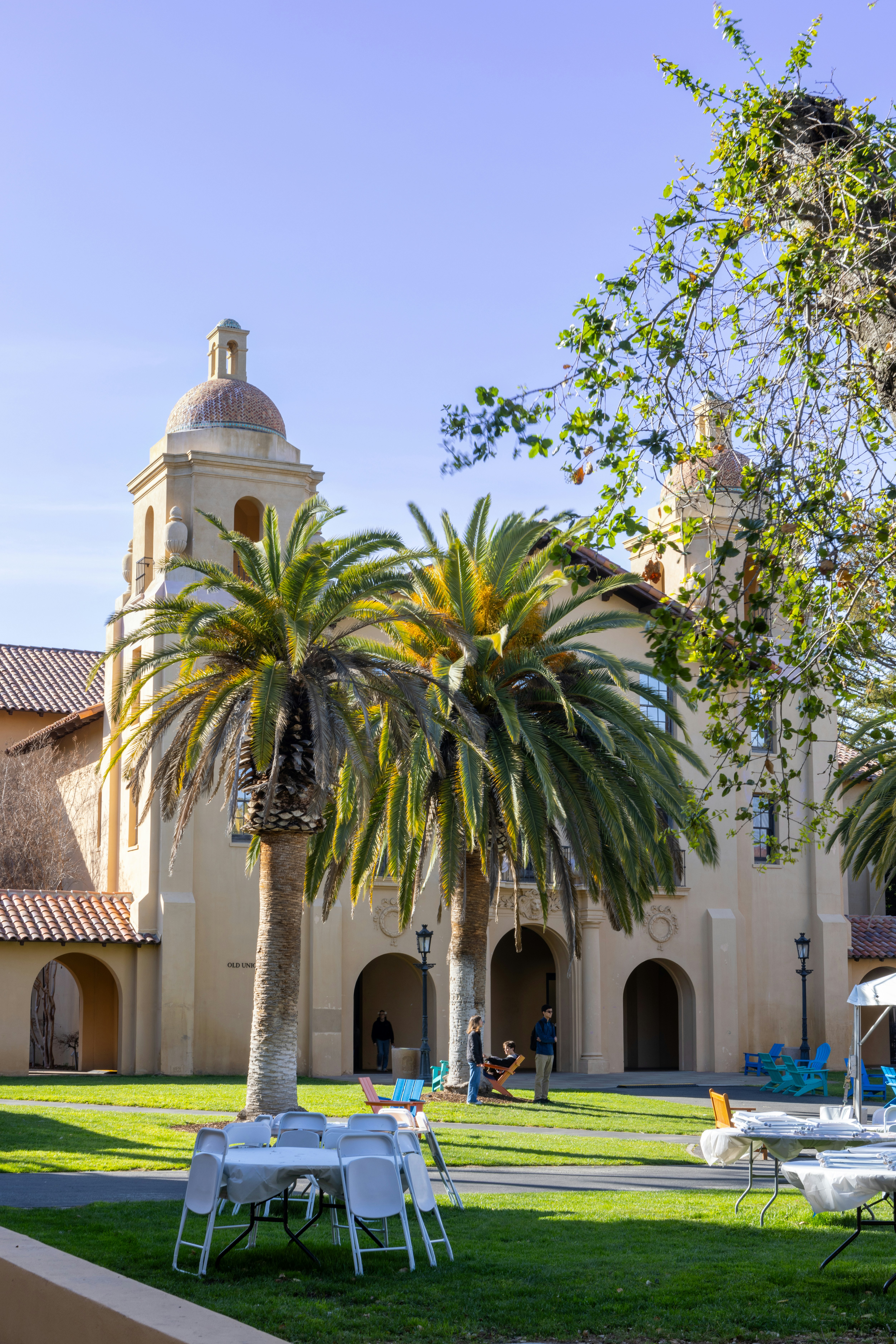 Palm trees and a historic building bathed in afternoon sunlight, with chairs scattered on a grassy lawn.