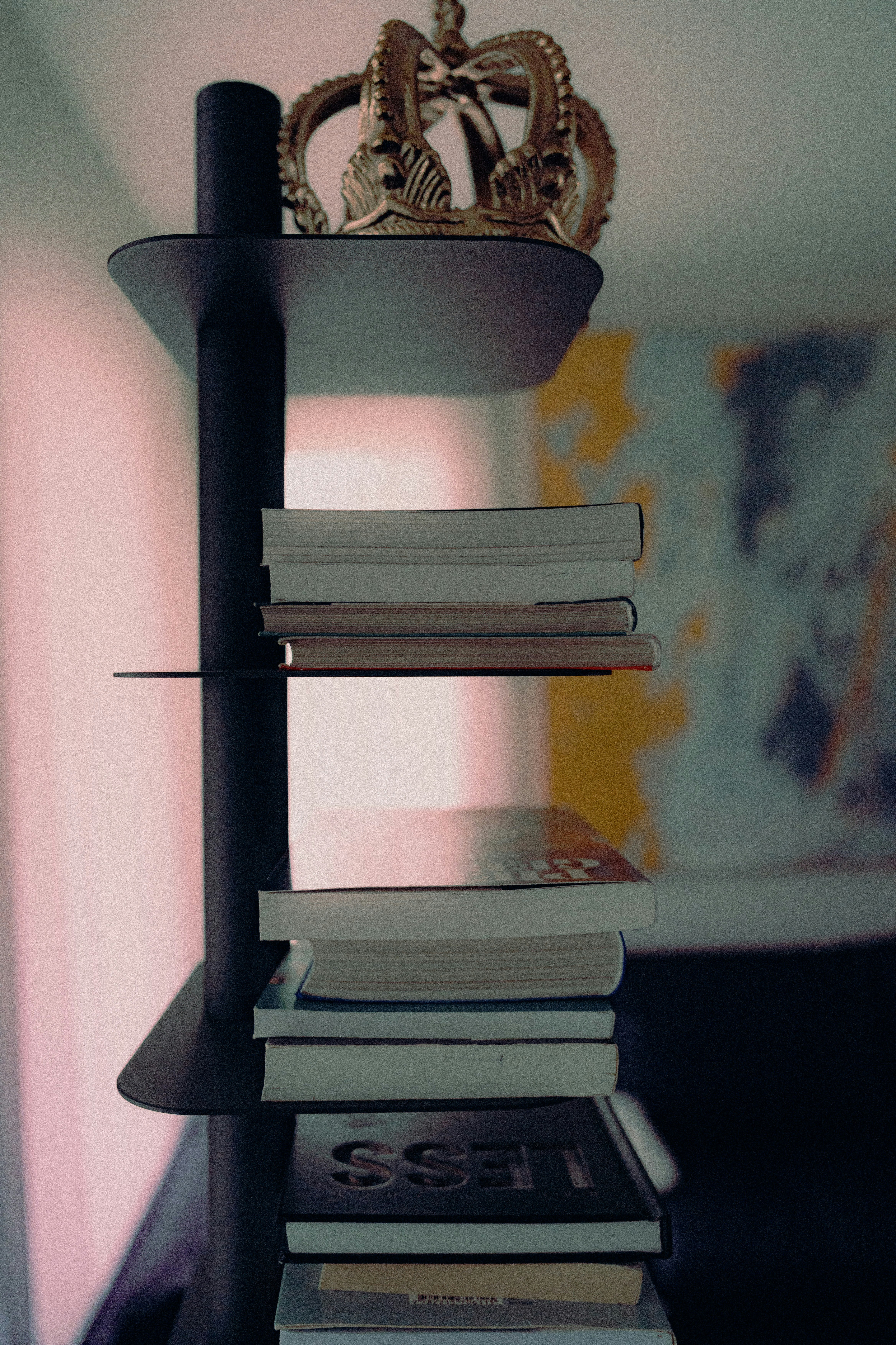Crown Summit on a Quiet Shelf: A Portrait of Books and Light