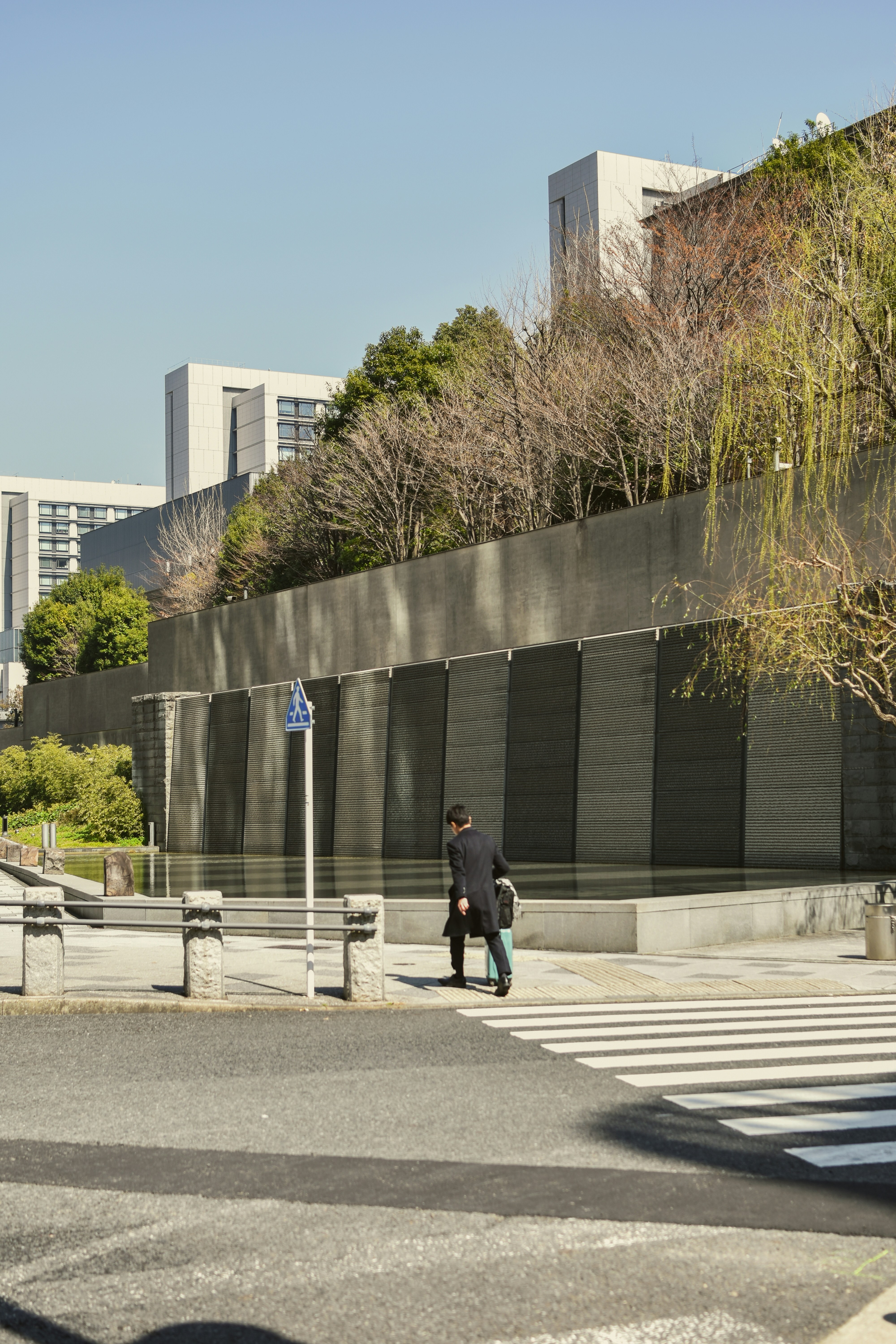 Photo by Mircea Solomiea with Nikon D3400