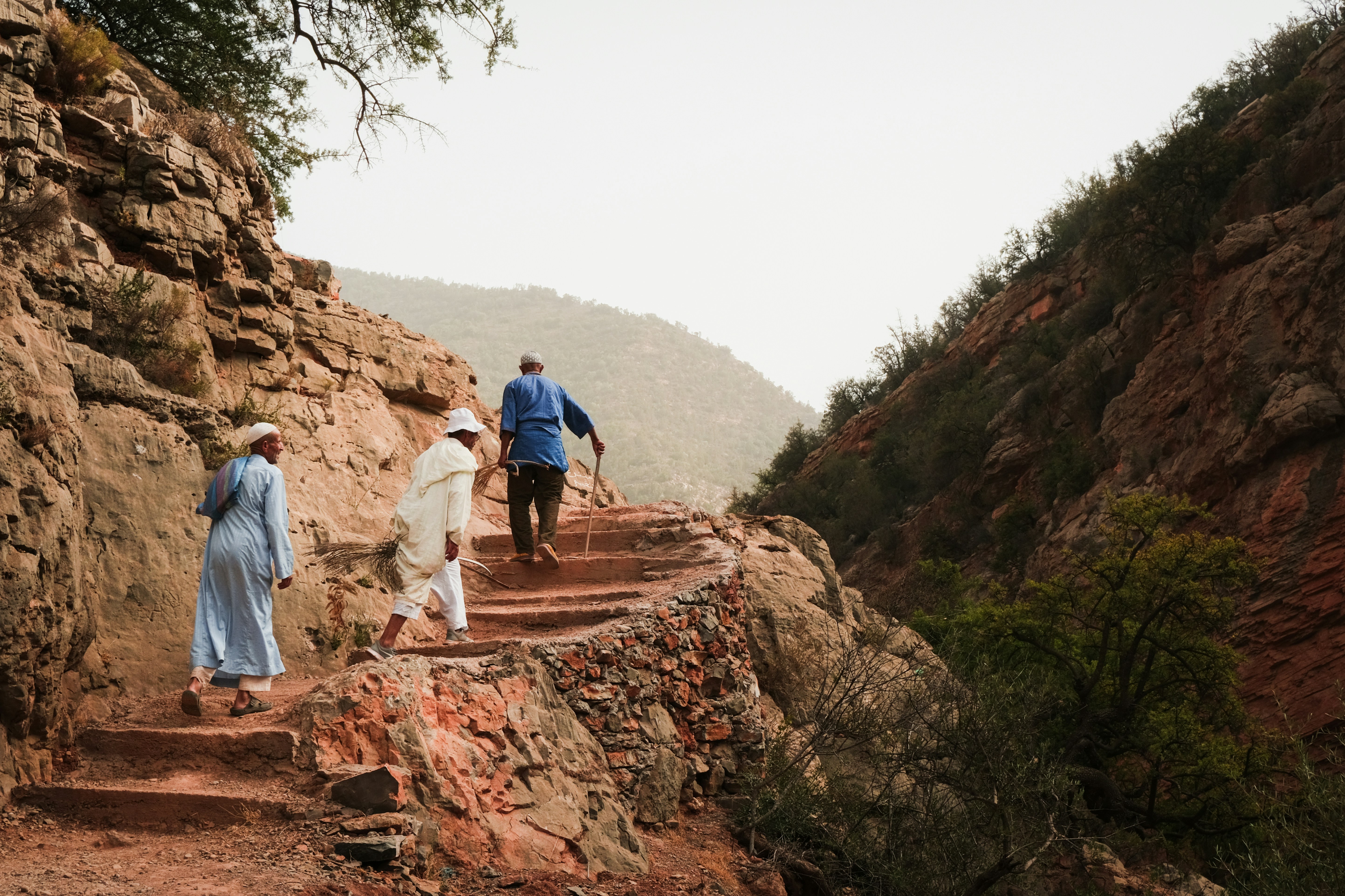 Ascending the Red Rock Pathway