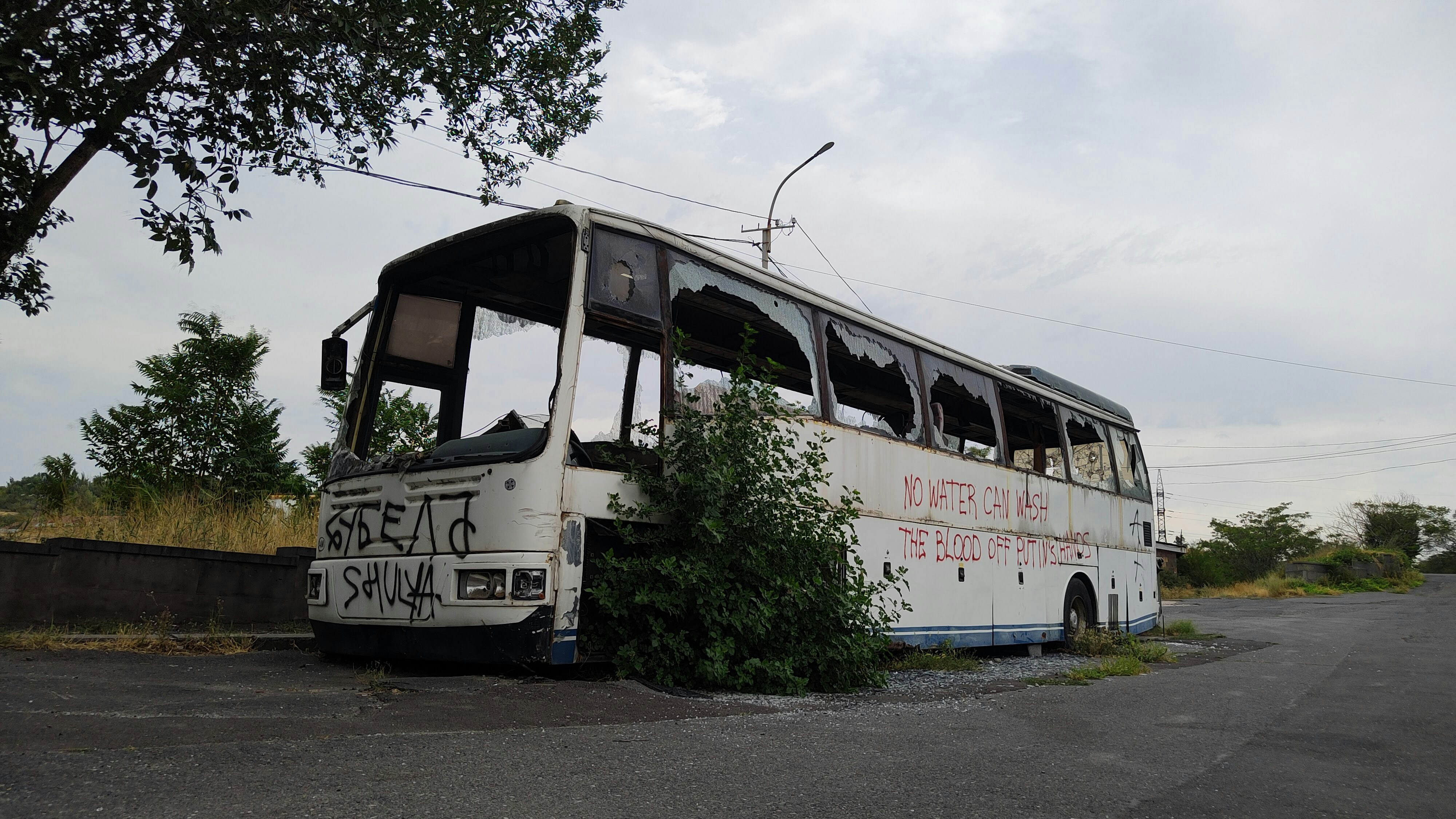 Weathered bus overgrown with plants, situated on an empty road beneath a cloudy sky.