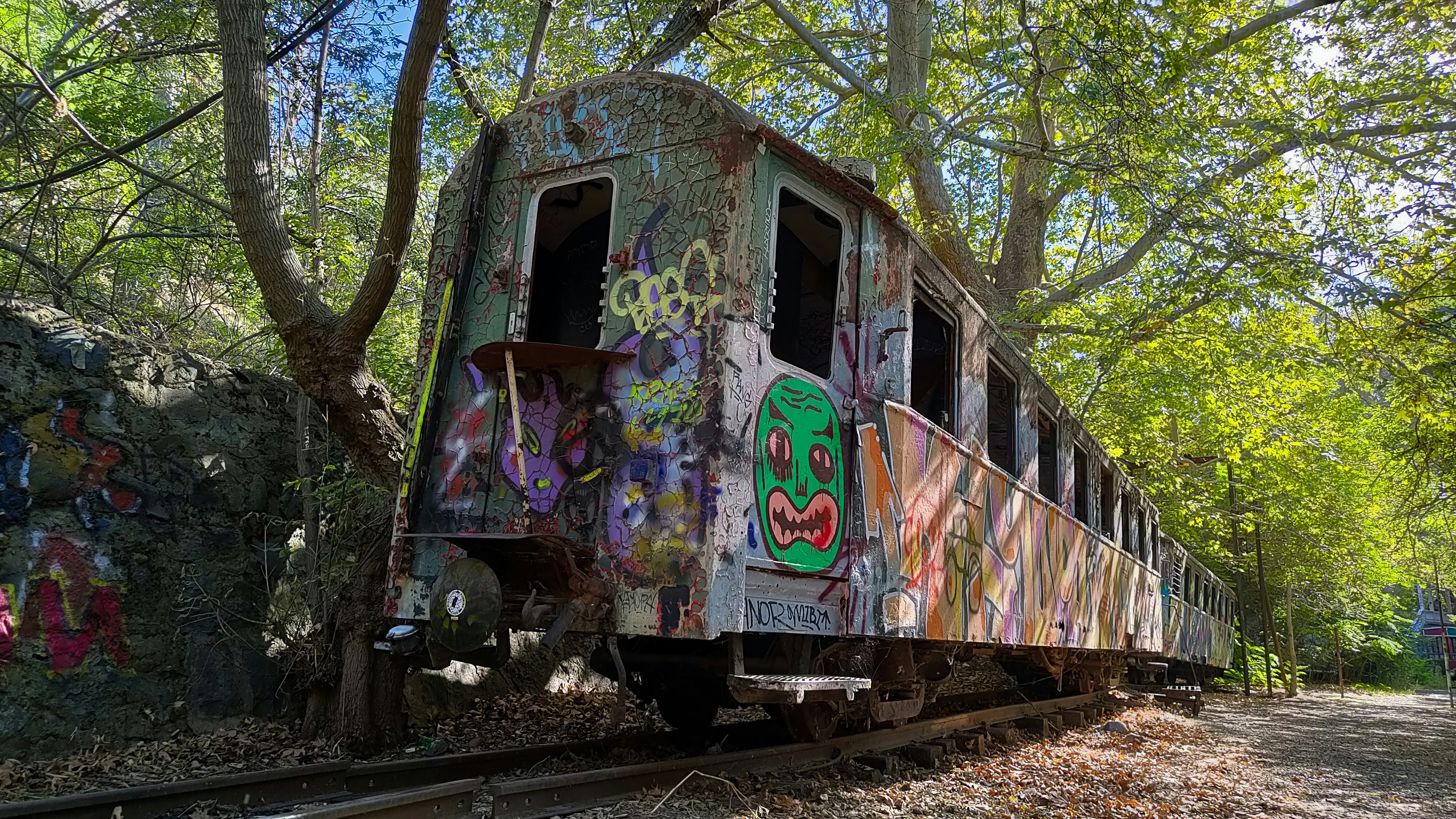 Abandoned train car covered in colorful graffiti amidst a lush, sunlit forest.