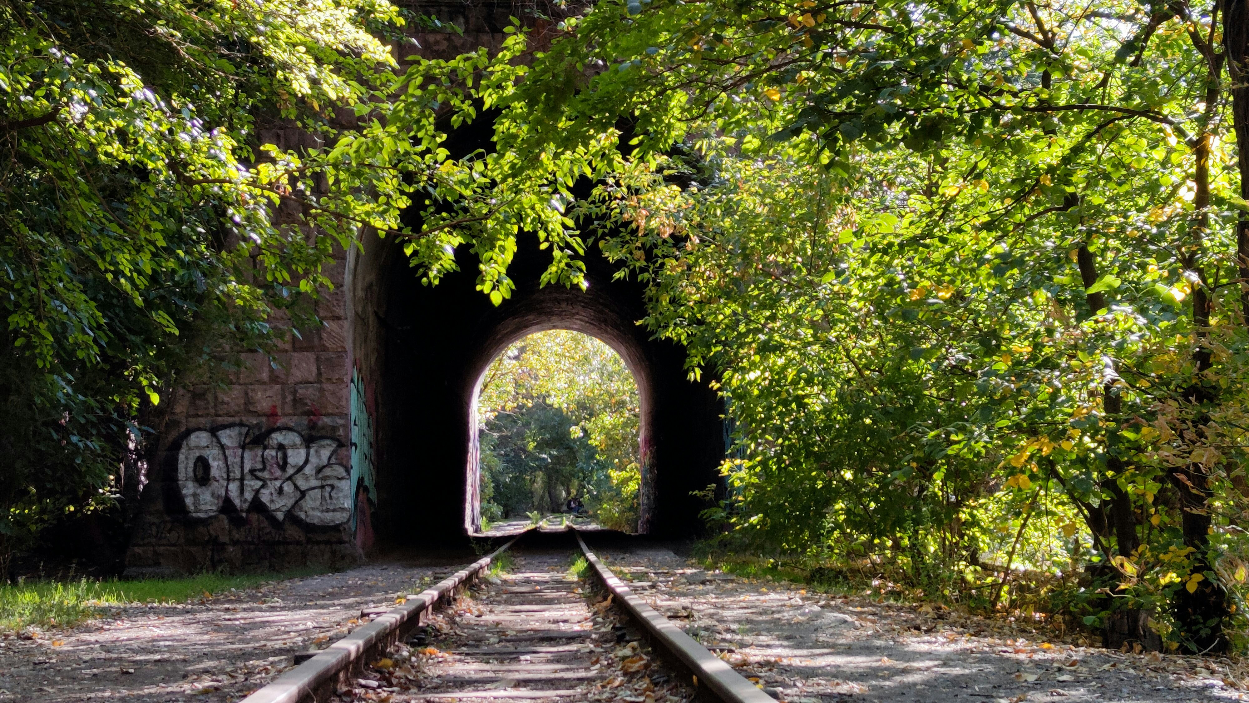 Rails extend through a leafy tunnel toward a sunlit arched exit. Graffiti decorates the left wall as dappled light filters through the dense greenery.