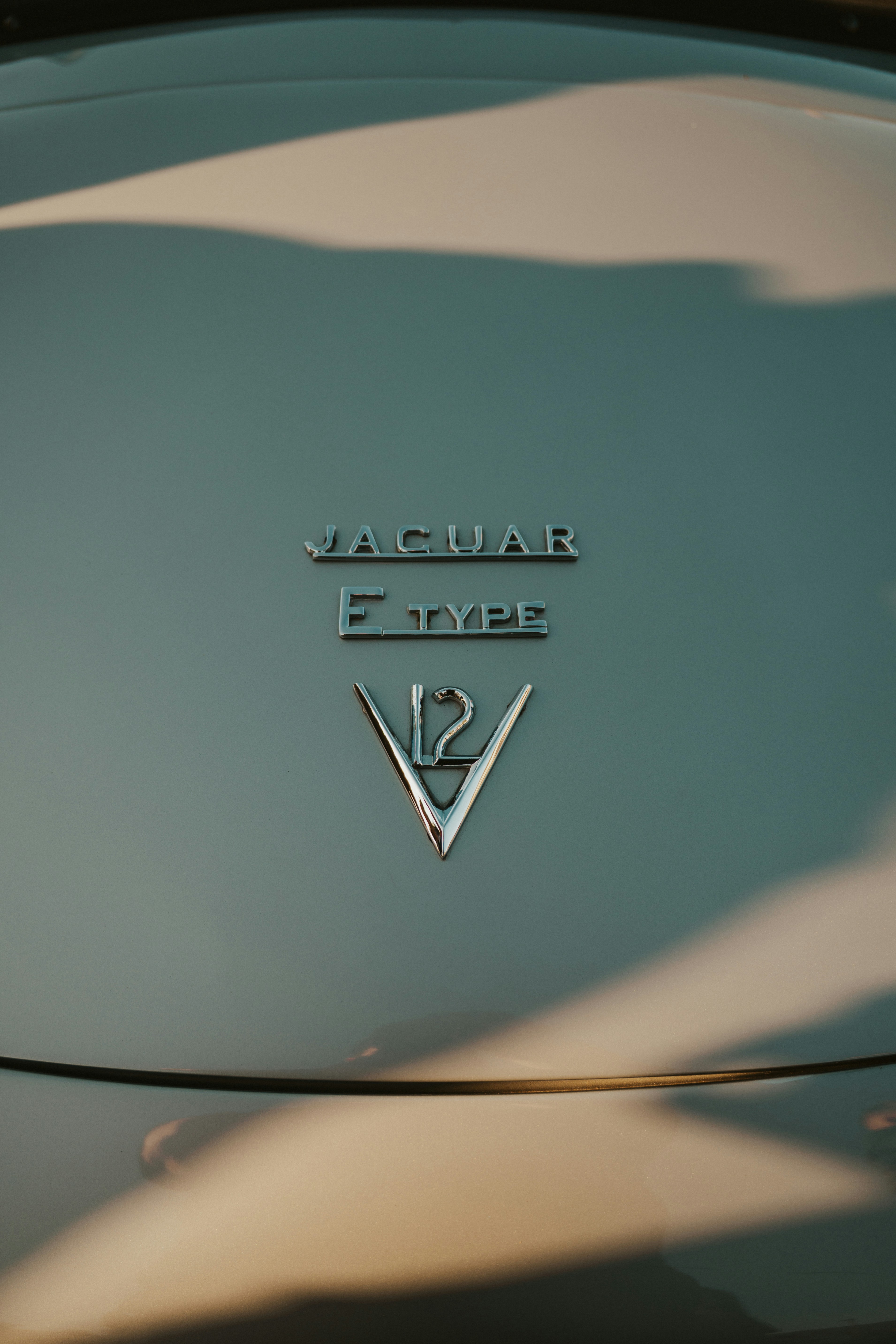 Photo by Nicholas Fuentes with Sony Alpha 6700