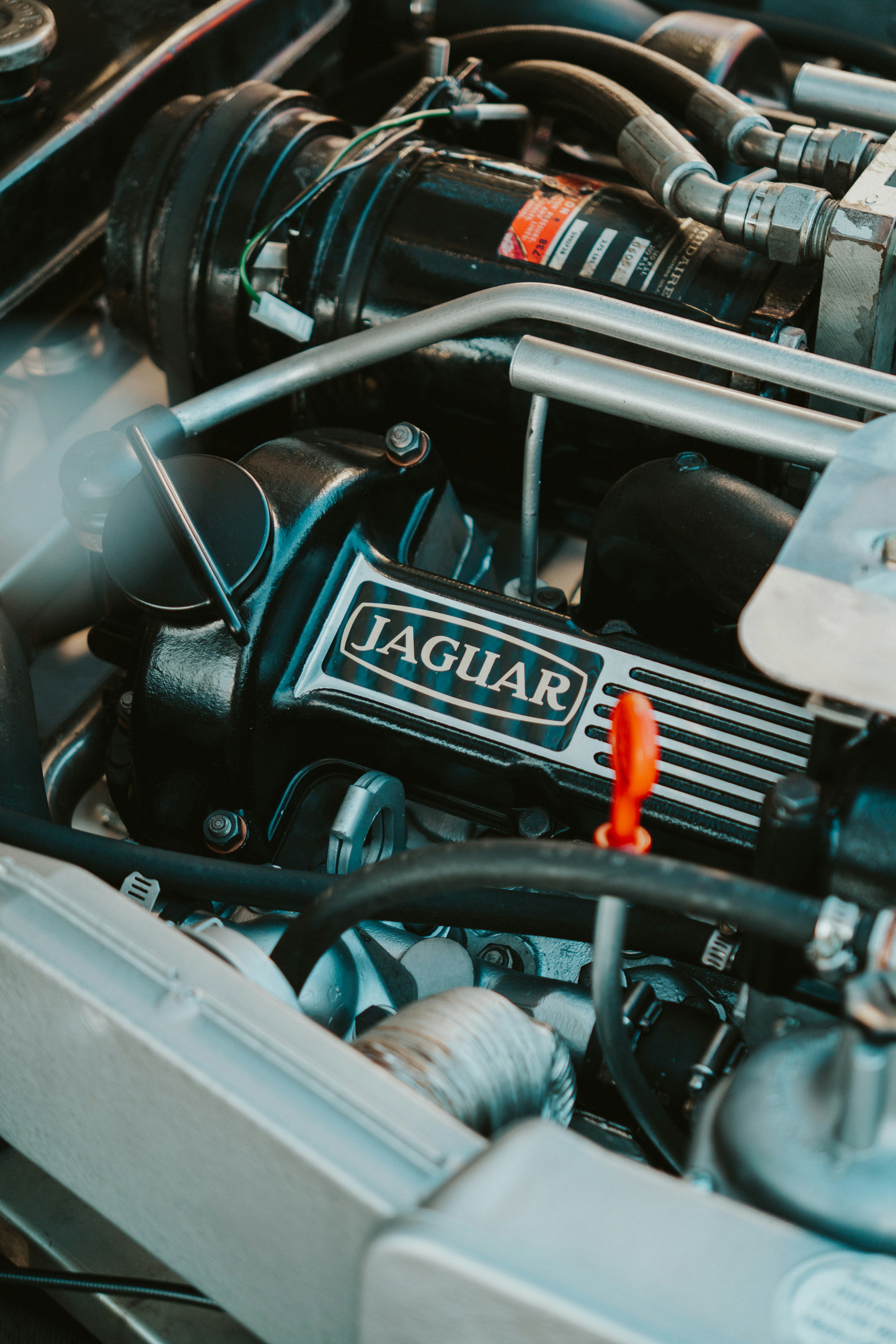 Pulse of Precision: Jaguar badge nestled in a maze of engine hardware