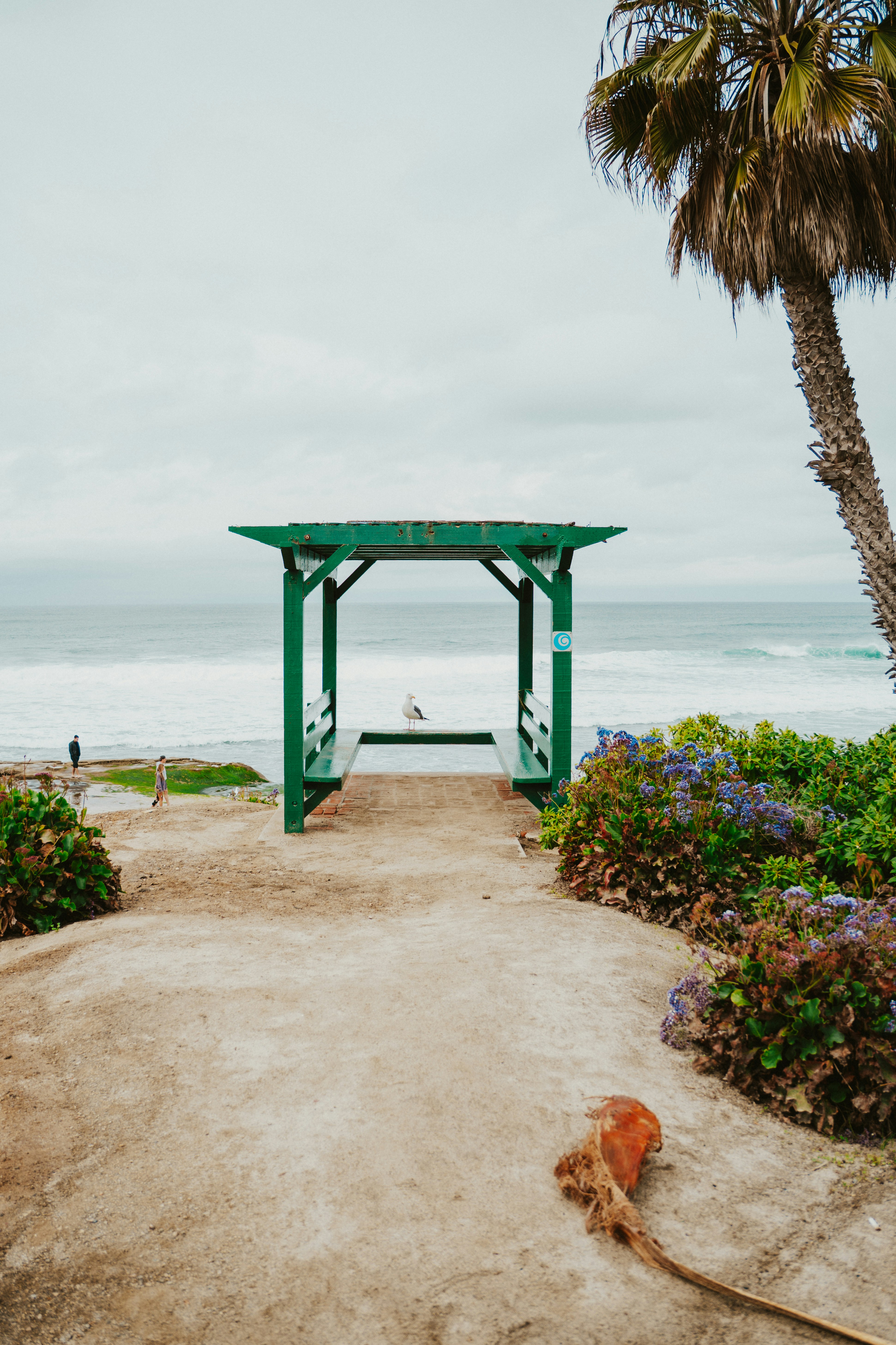 Green Pier Frame at Beach Edge