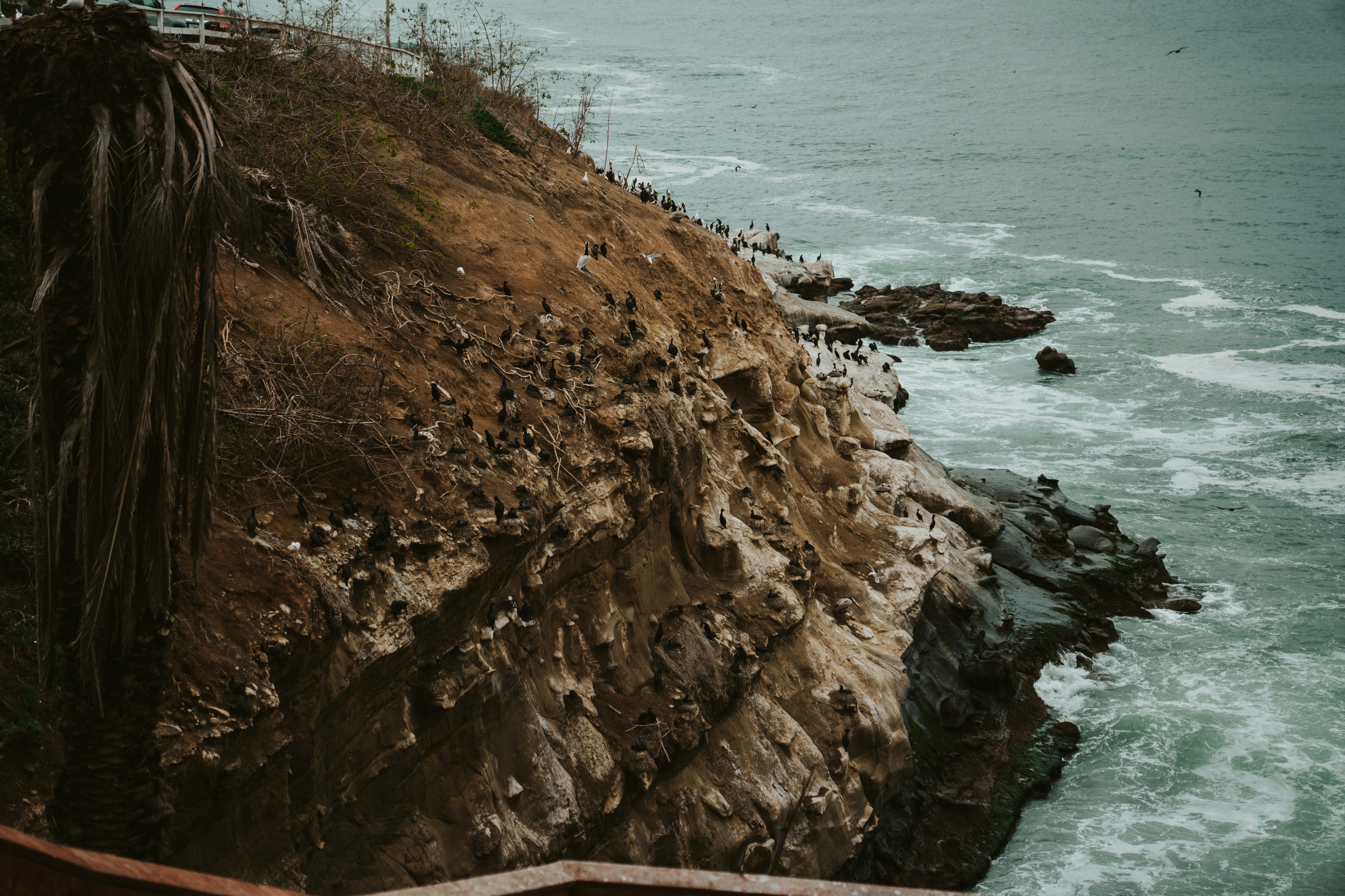 Cliffside Watchers: A Line of Figures Along a Turquoise Coast