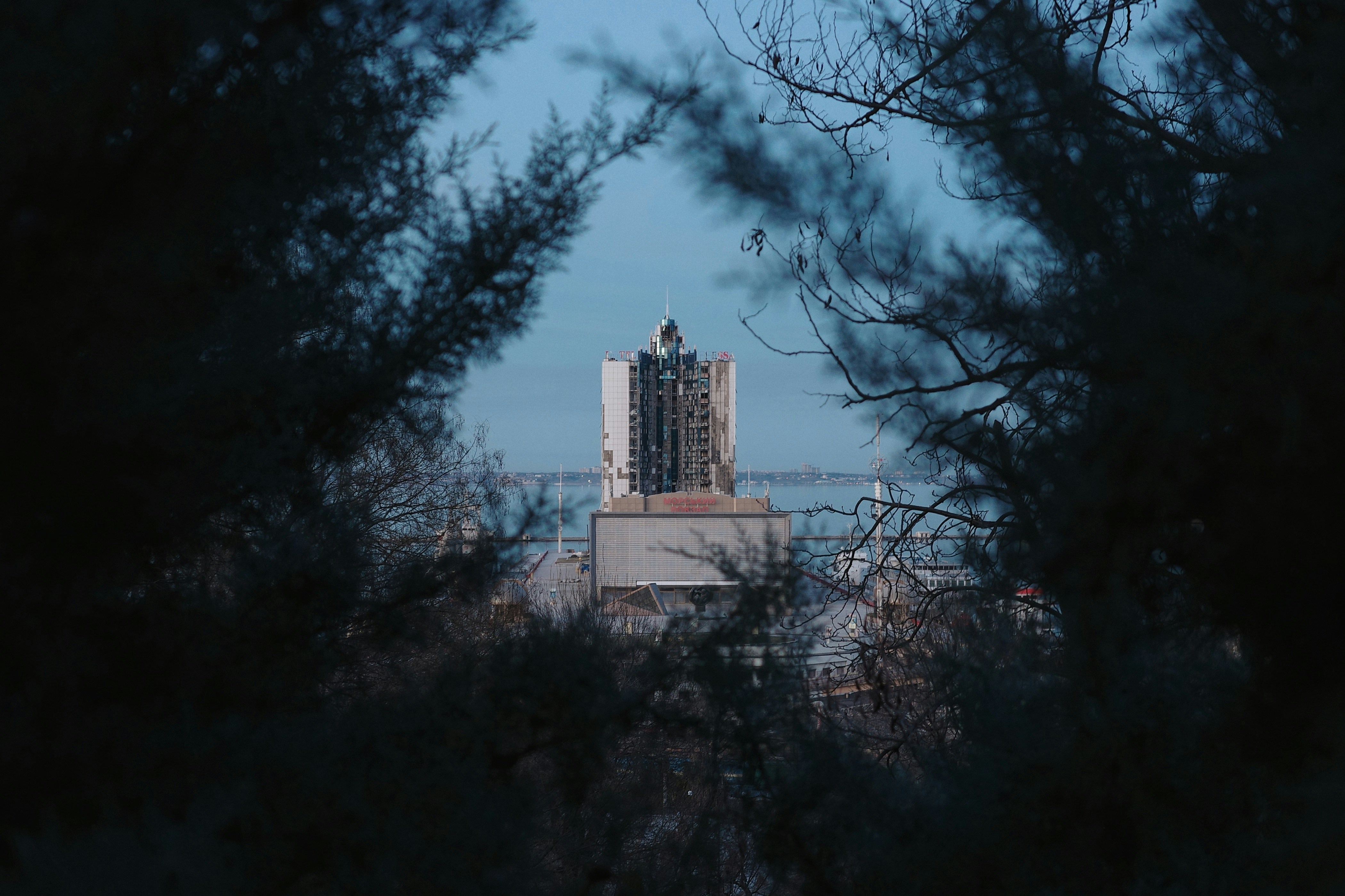 High-rise building framed by silhouetted trees against a coastal backdrop at dusk.