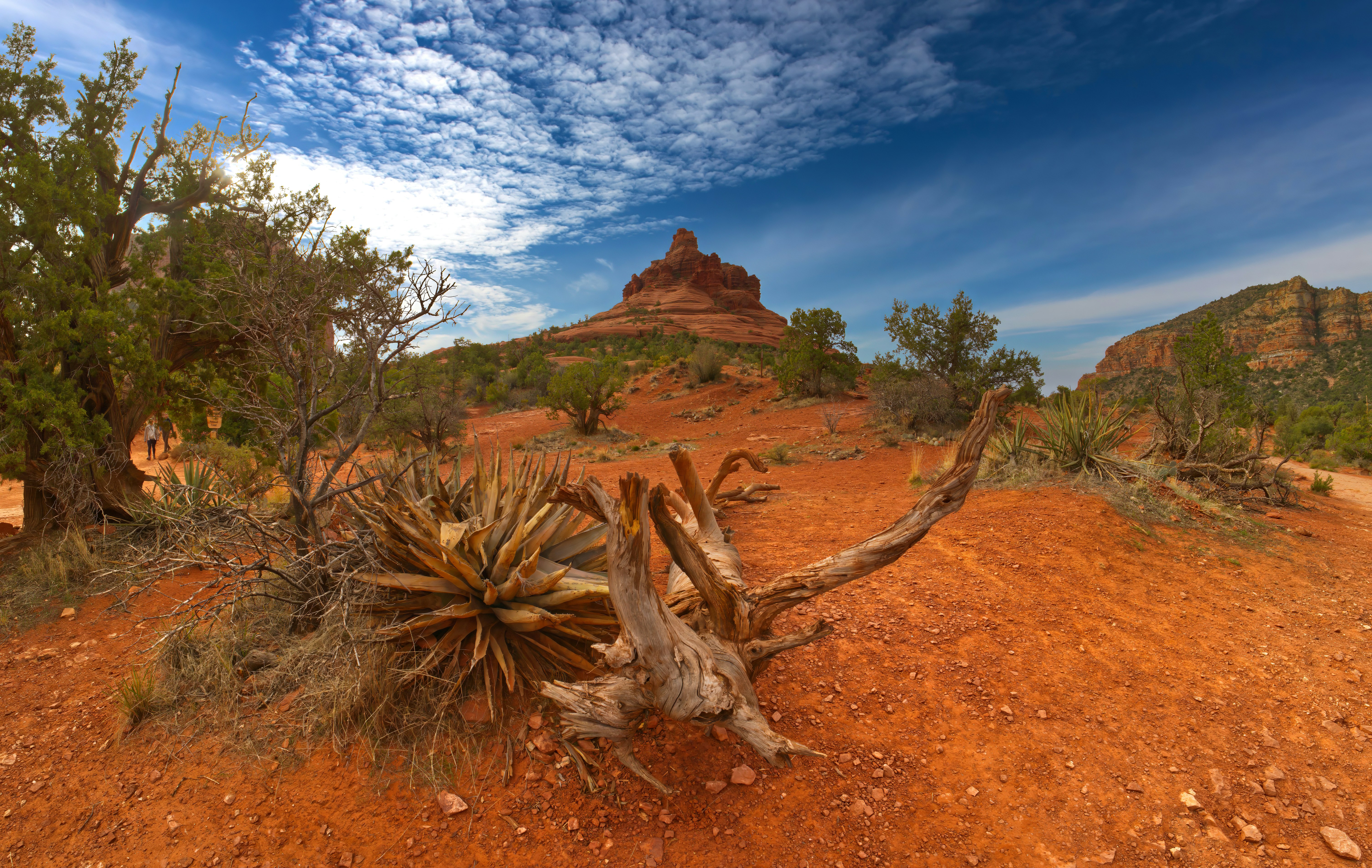 Red rock landscape with a striking blue sky. photo – Free Sunrise Image ...