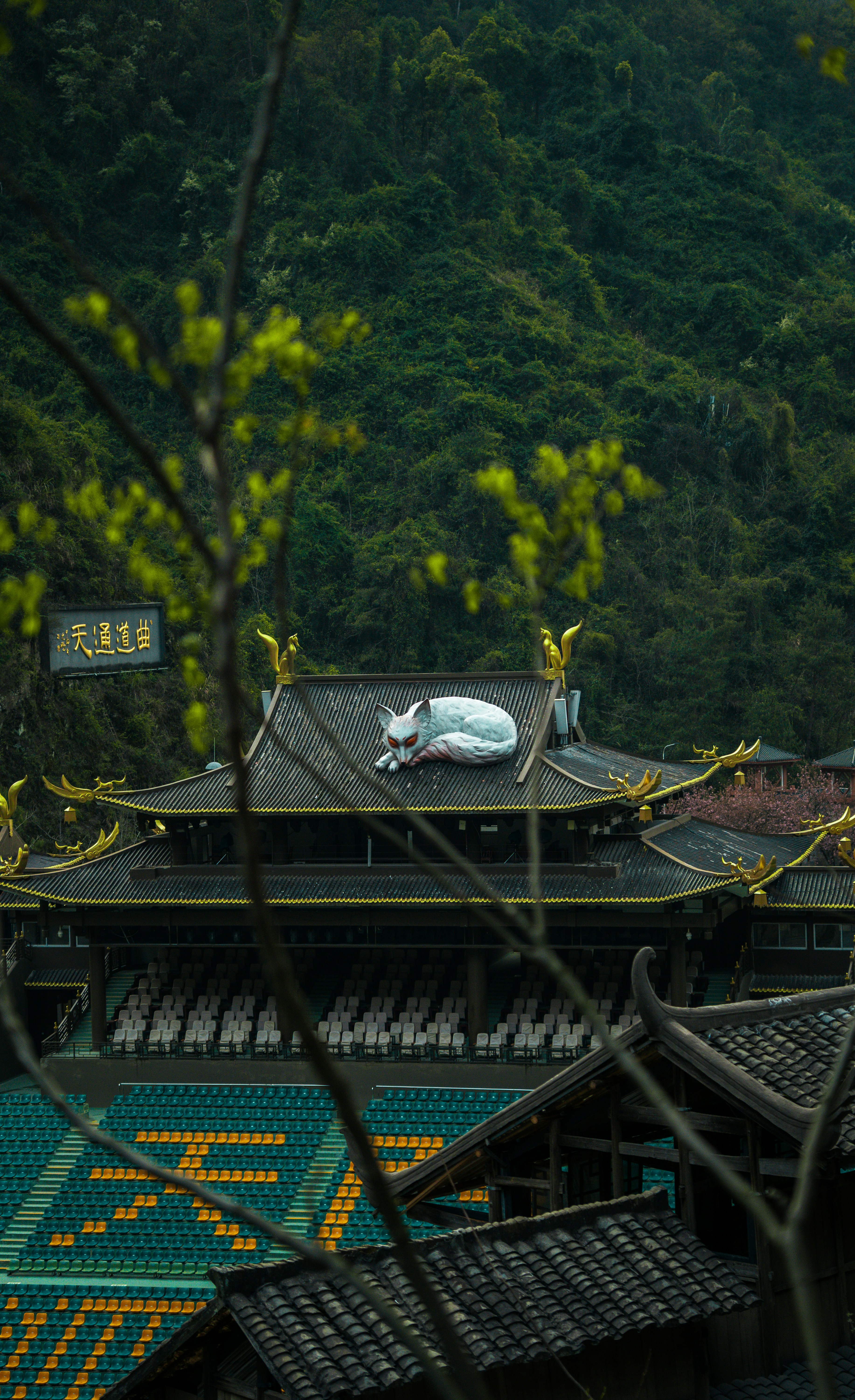 White Cat on a Dragon-Topped Temple Roof Overlooking Forested Terraces