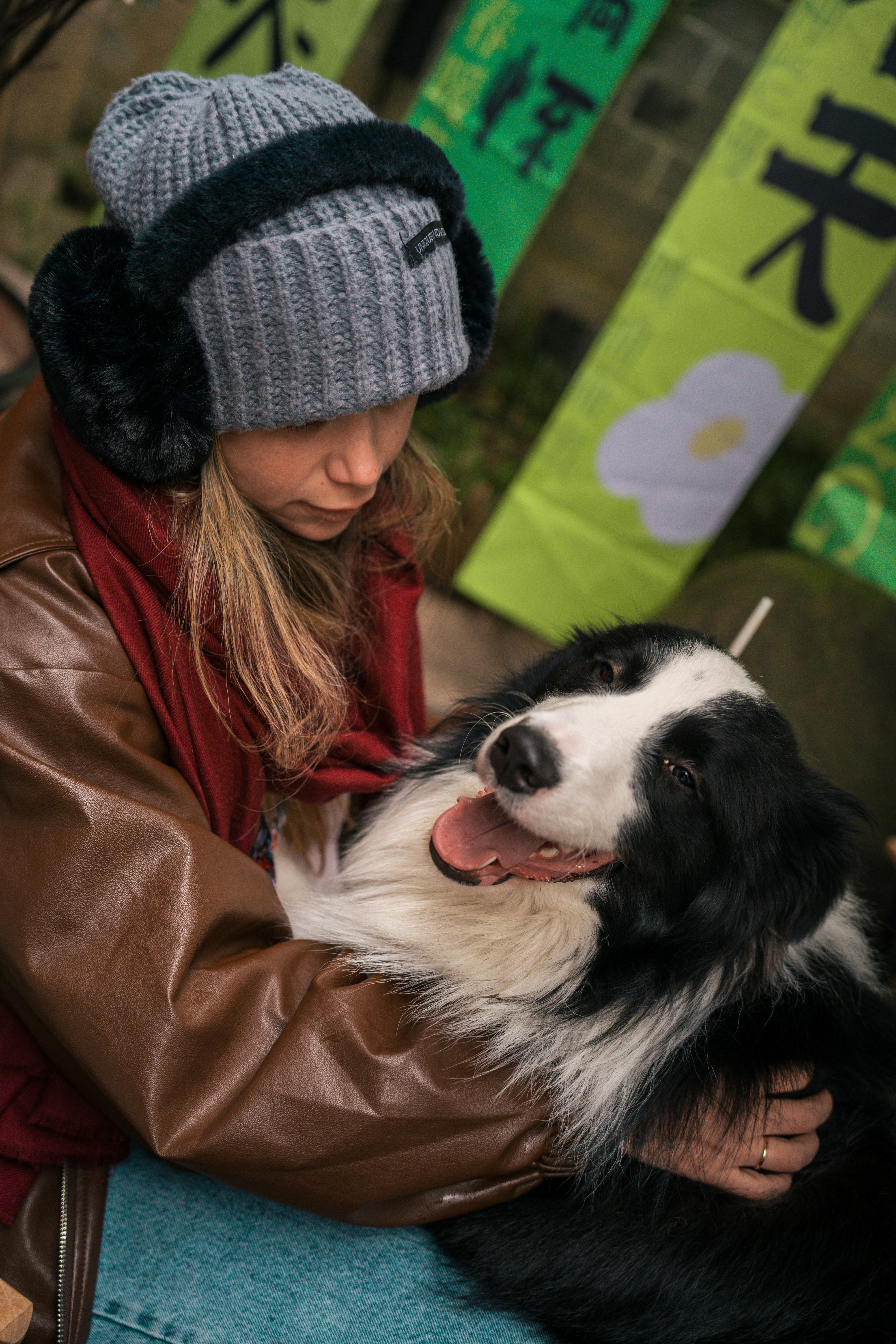 Winter Kindness: A Quiet Hug Between a Woman and Her Border Collie