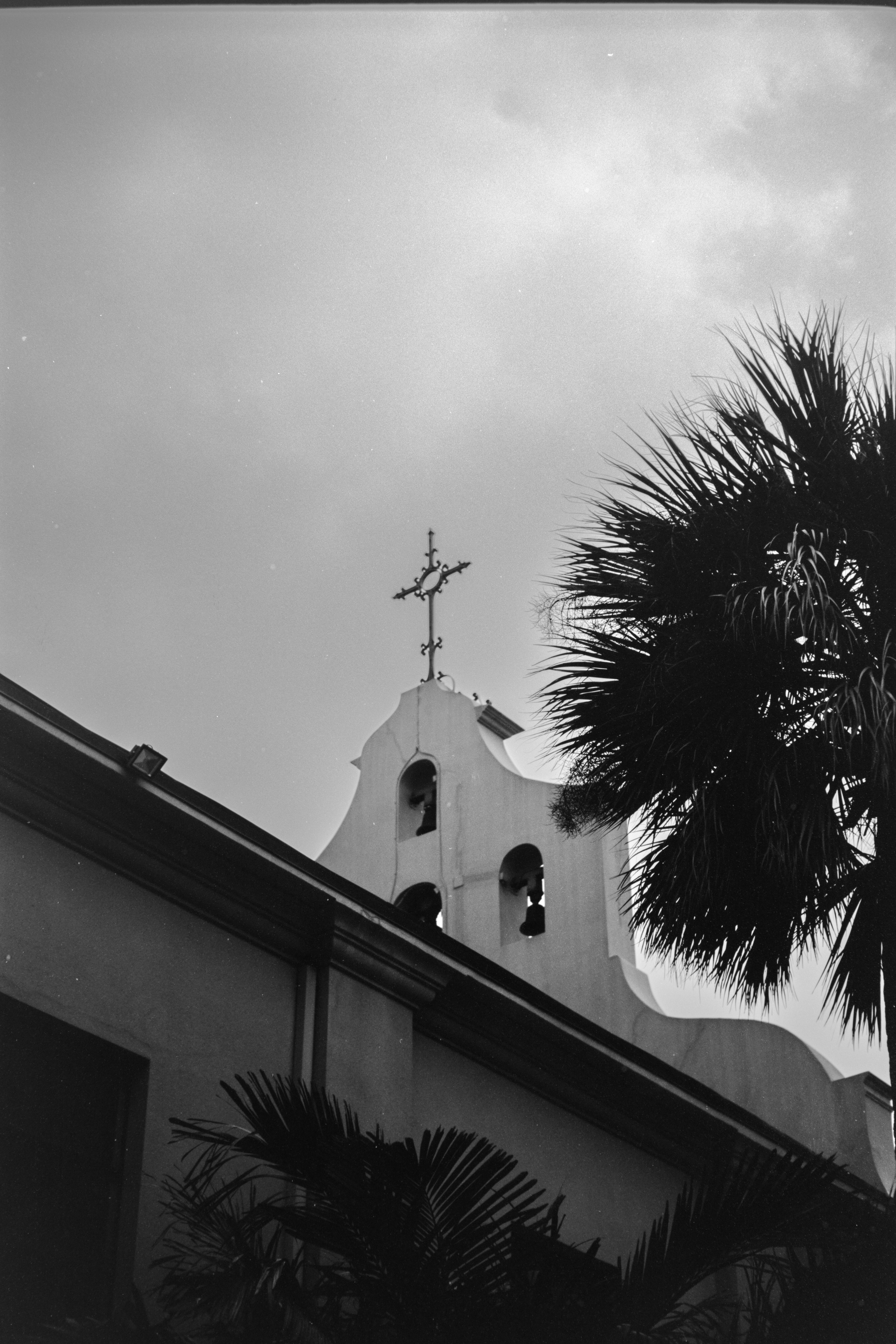 Cross on the Curved Roof: Palm Fronds Framing a Monochrome Chapel