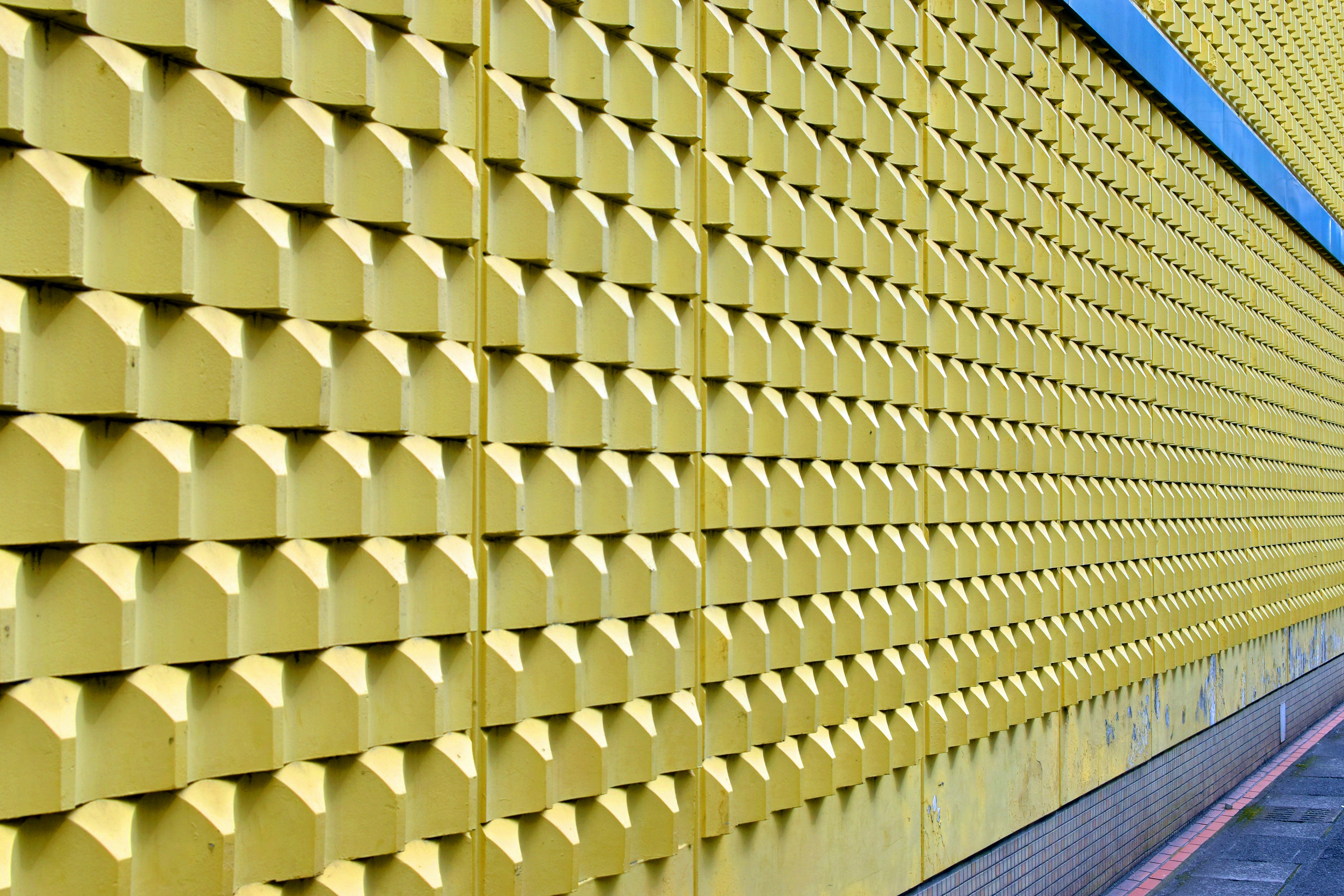 Photo by Geoff Oliver with Nikon D5500