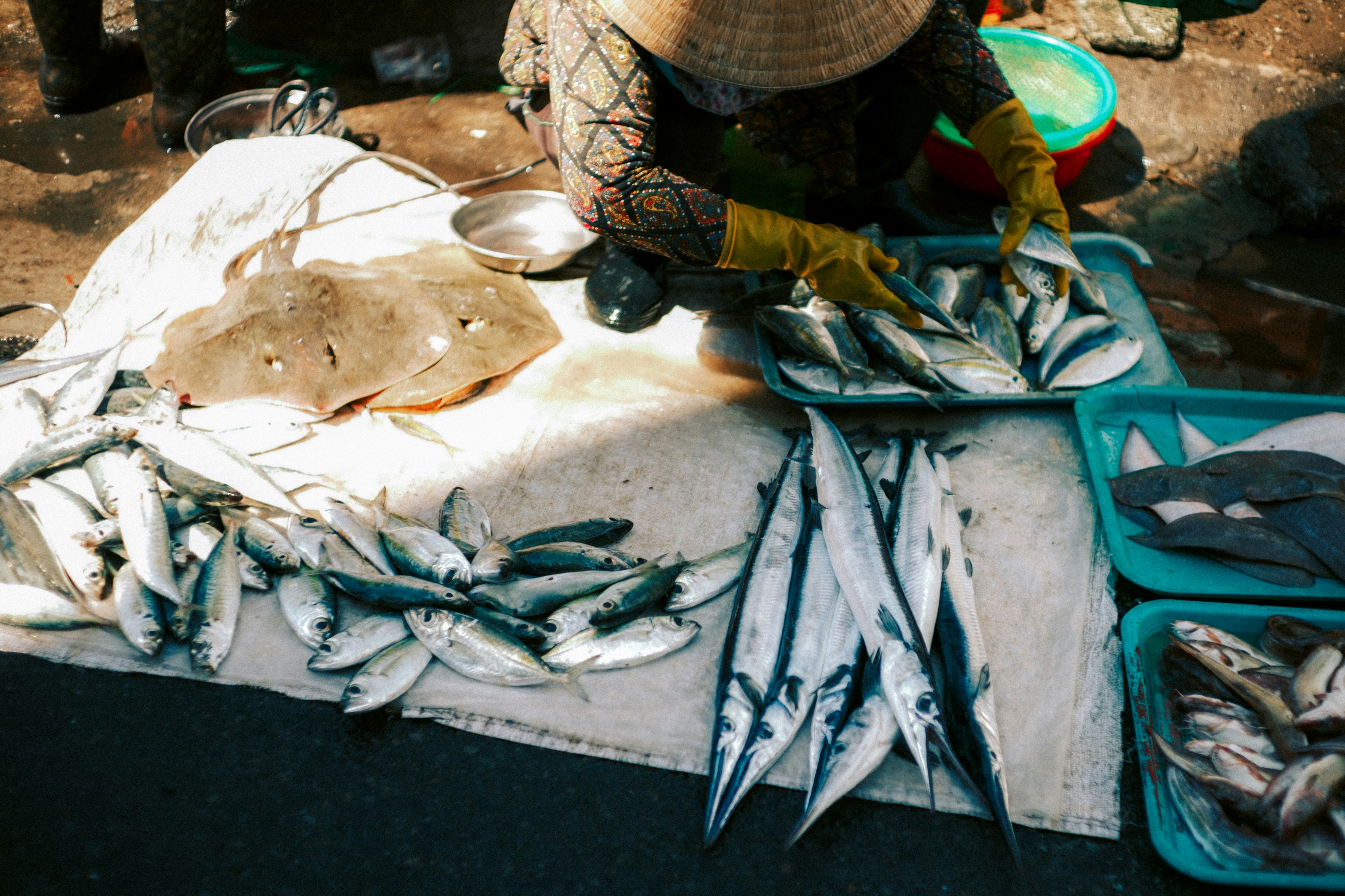 A vendor is selling various types of fresh fish. photo – Free Man Image ...