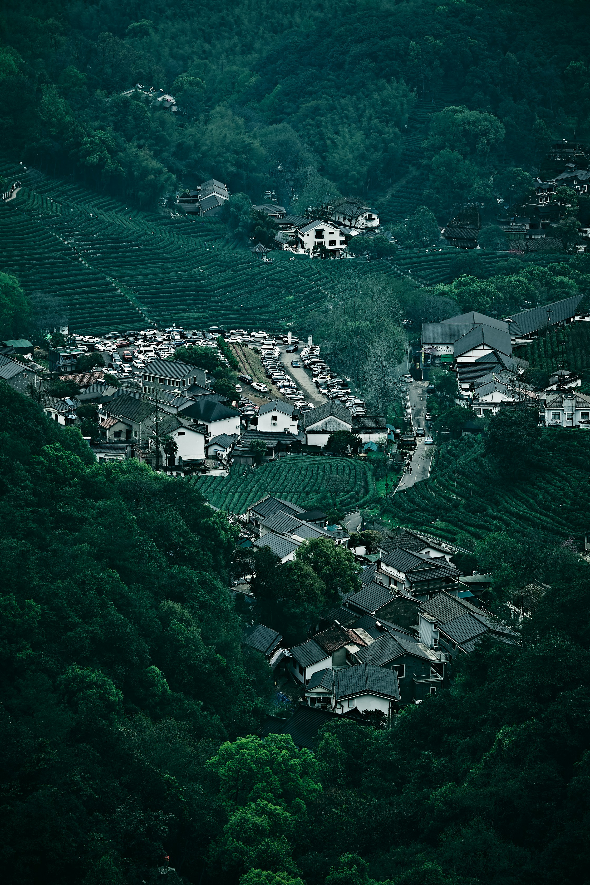 Photo by Seele An with Fujifilm X-H2