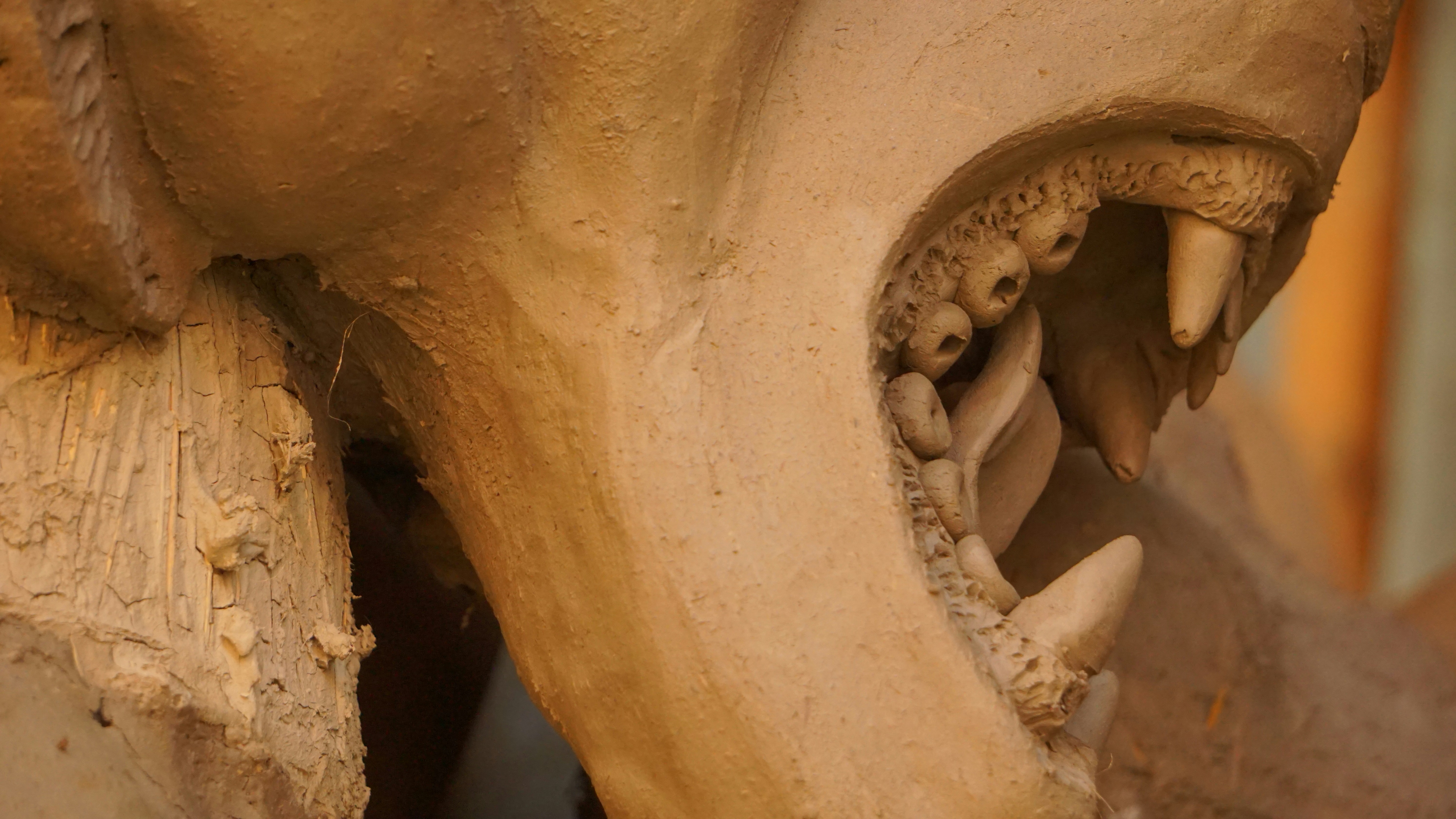 Stone Maw: Open Jaws of an Ancient Sculpted Beast