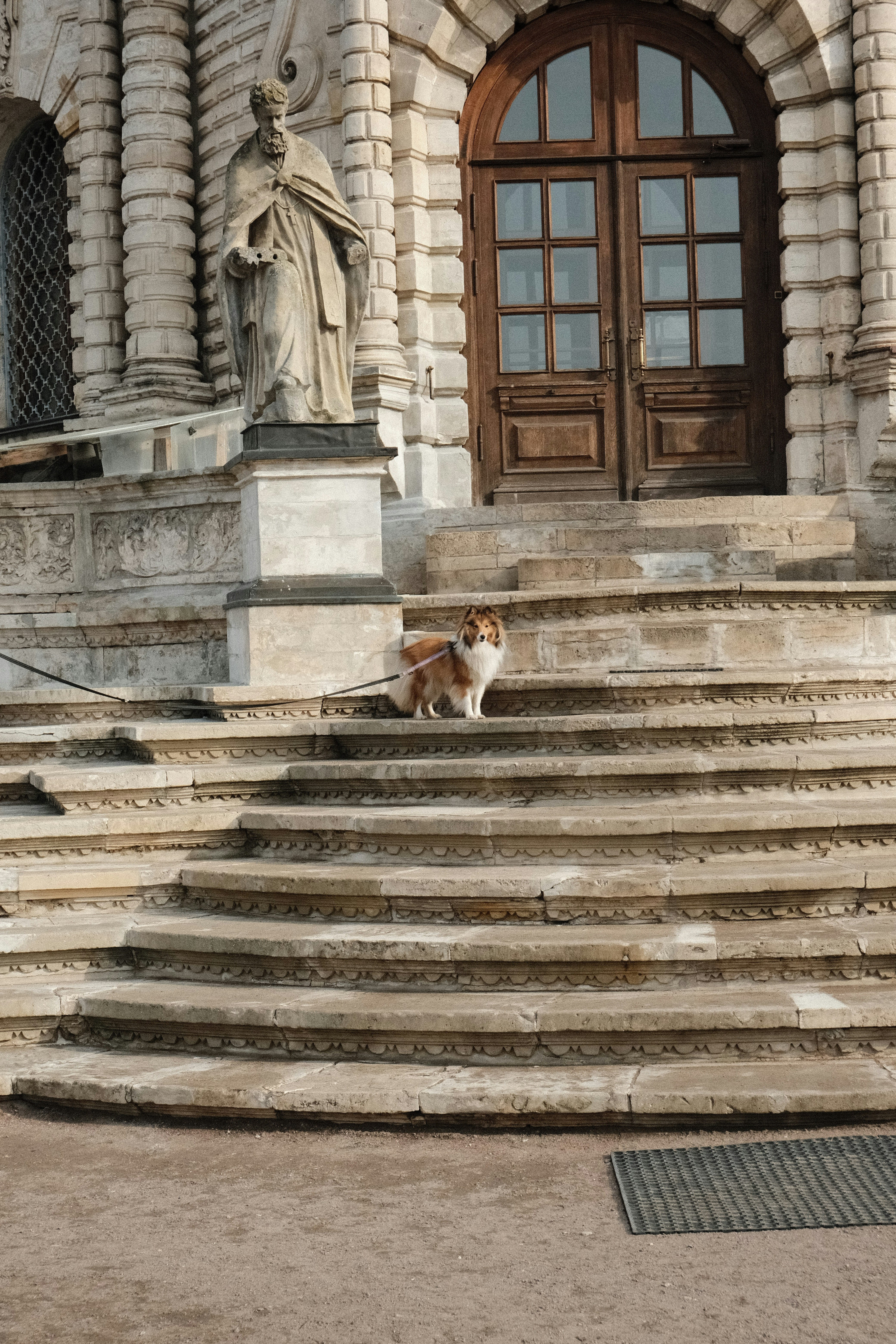 Puppy on Timeworn Steps Before a Grand Doorway