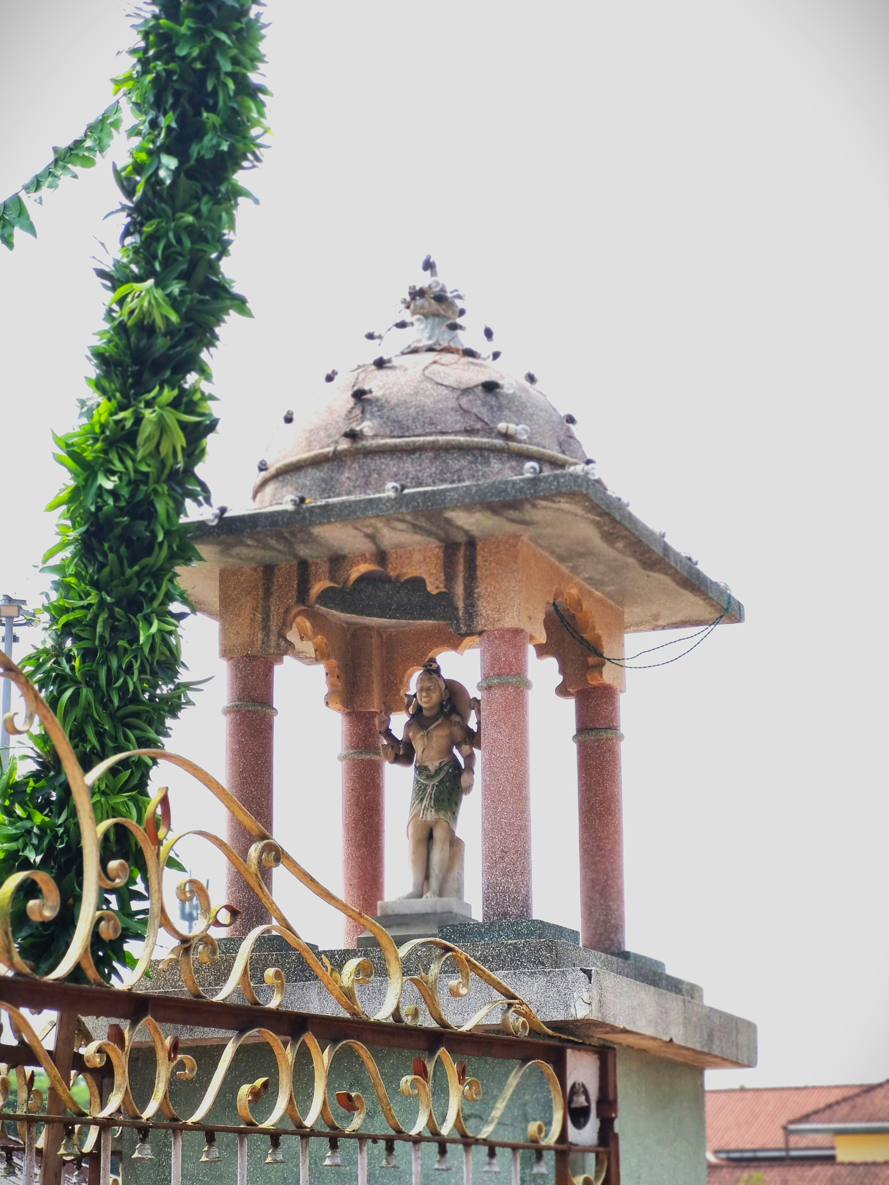 Nikhil . (@nikhil_c) | Comunidade de fotos da Unsplash