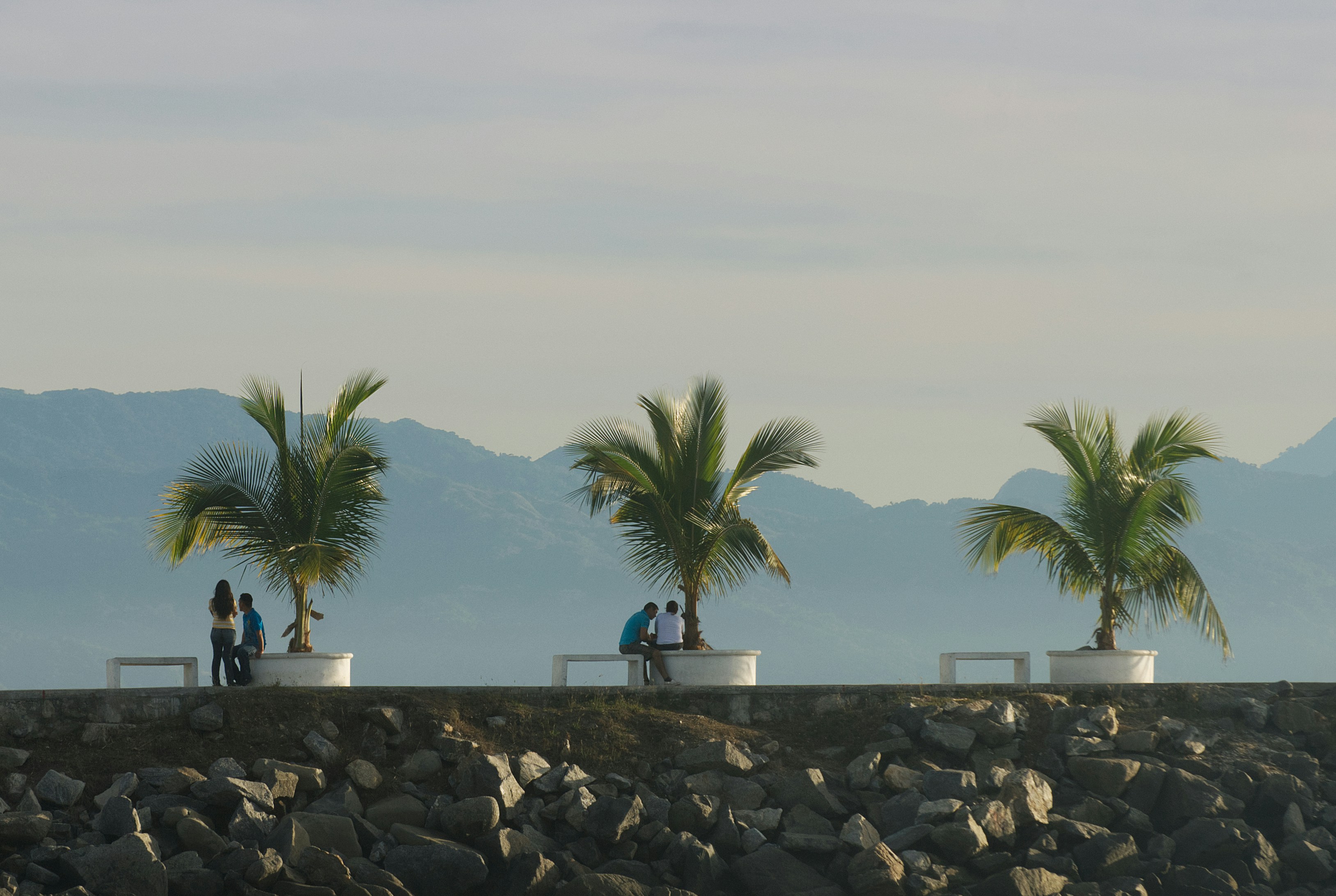 Palm-topped promenade at the breakwater with silhouetted figures