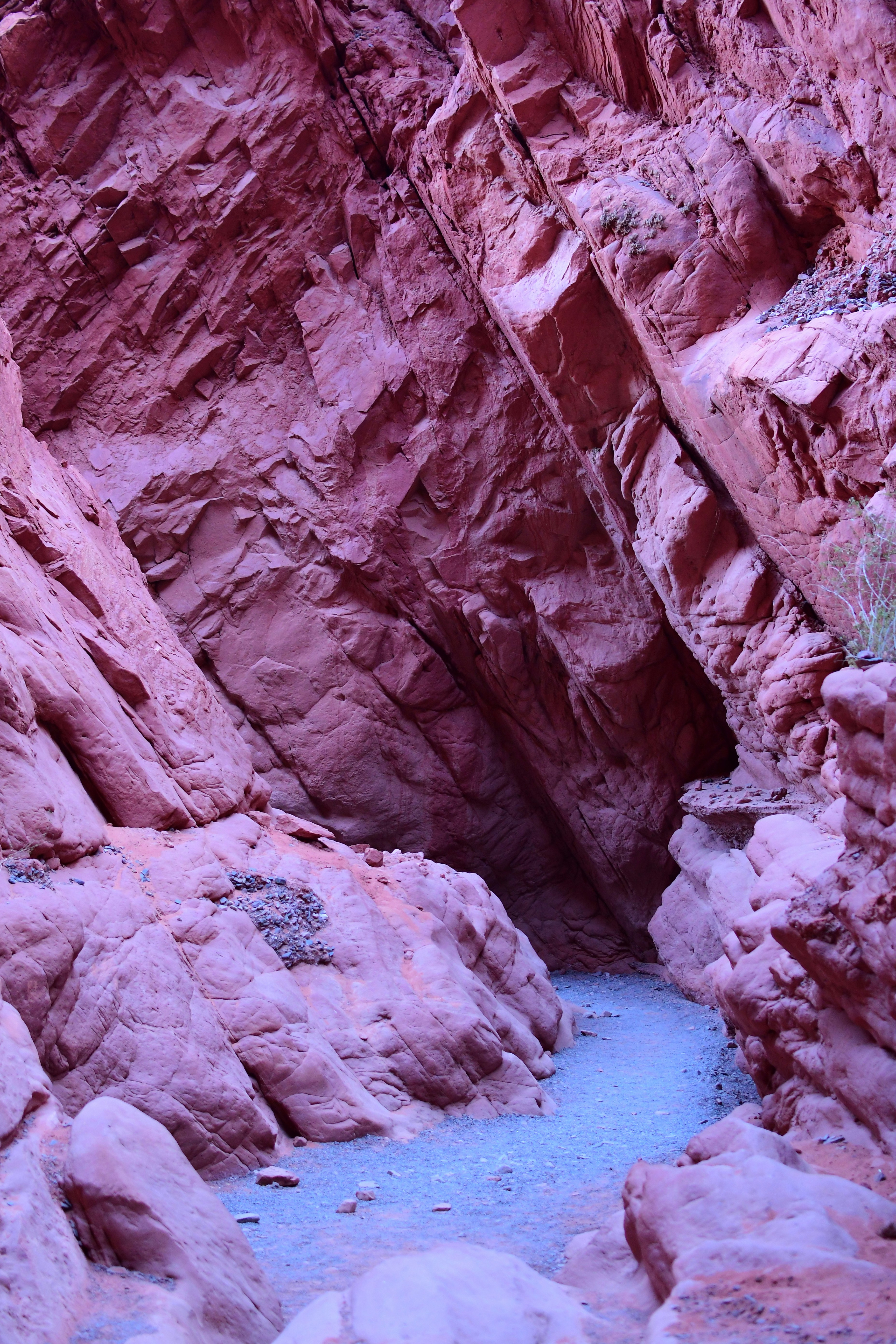 Rosy Echoes in the Canyon's Heart