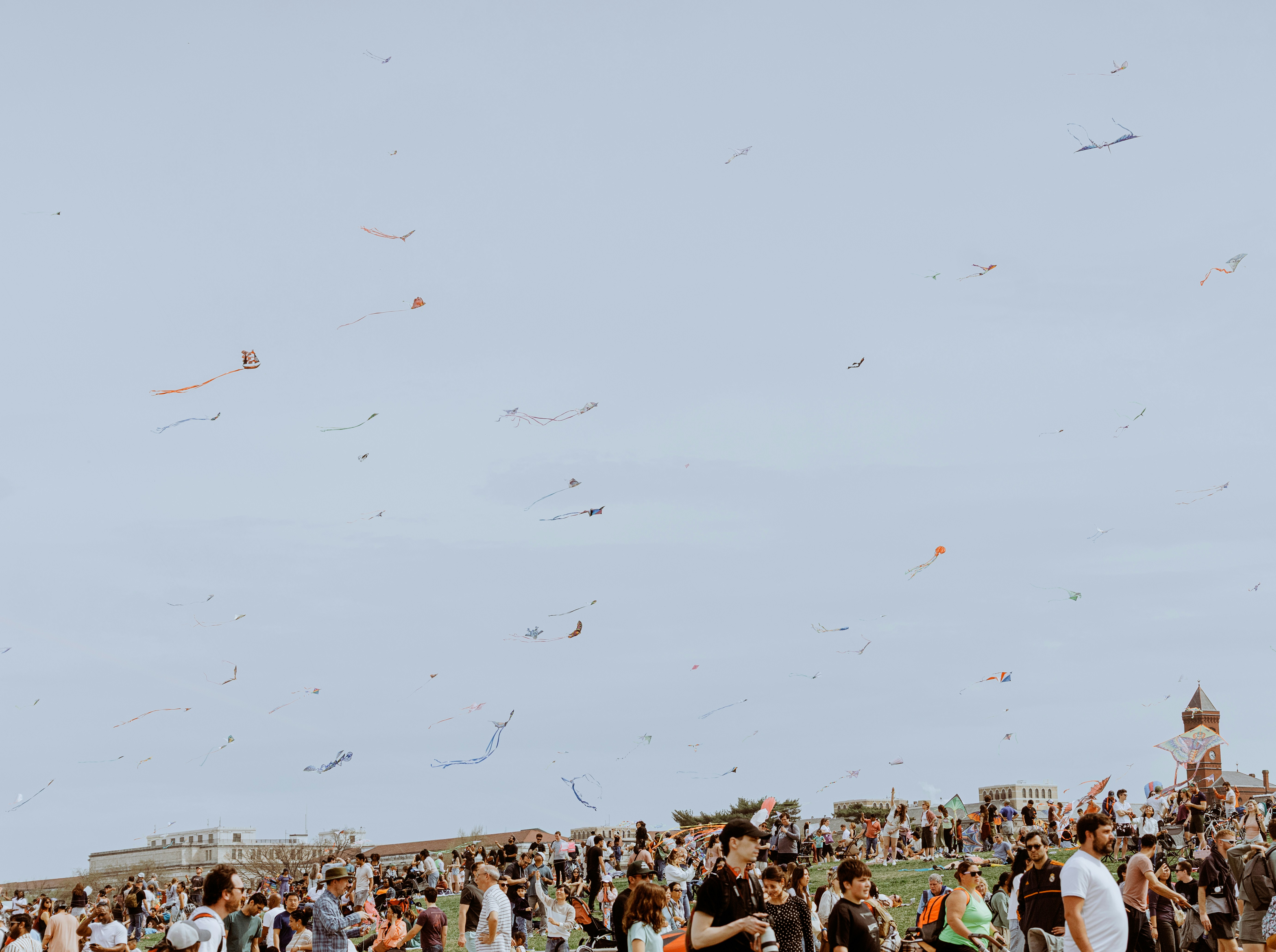 Kite-tails over a sunlit seaside crowd