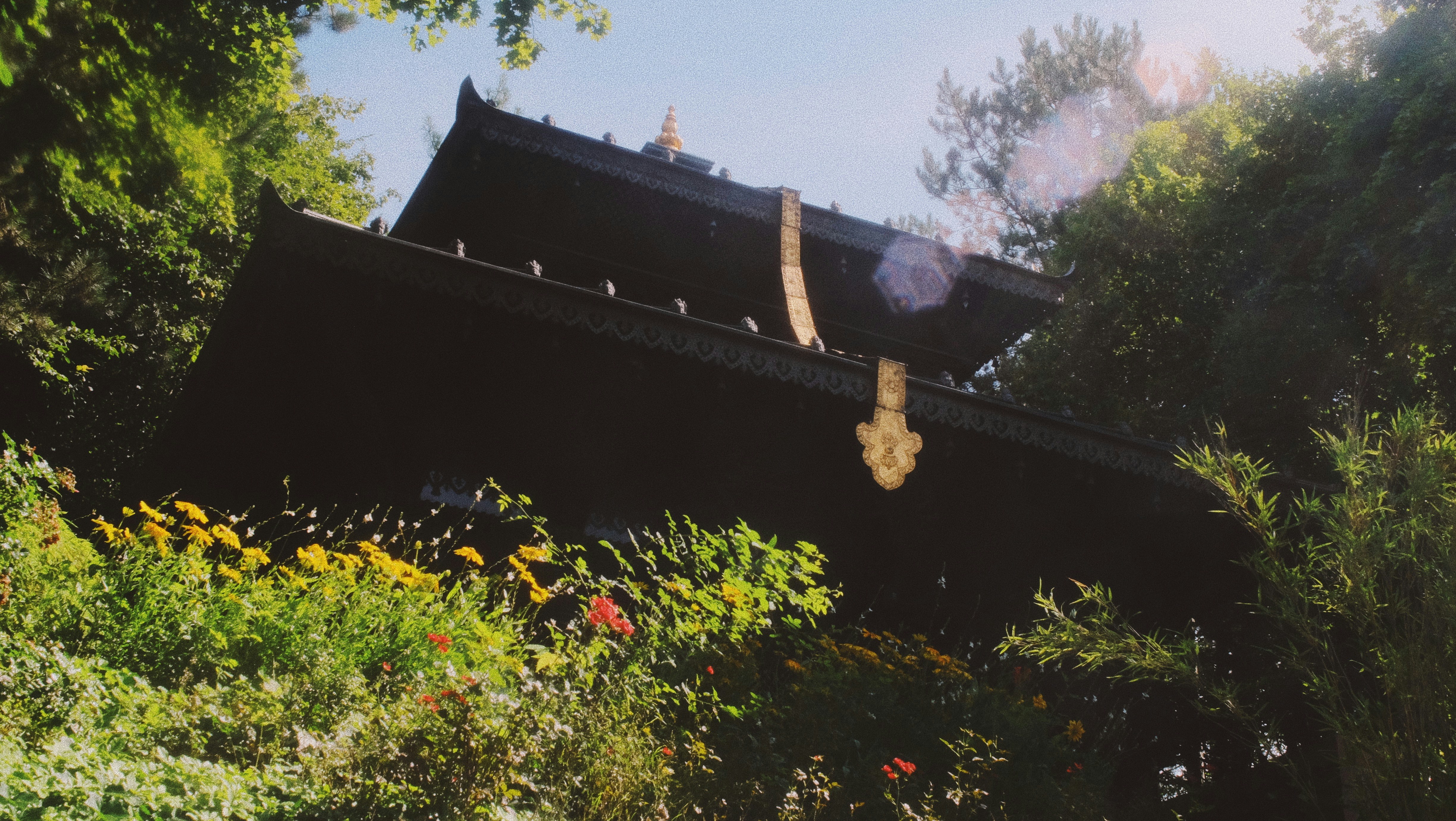 Traditional Japanese temple roof peeks through lush greenery under a clear sky.