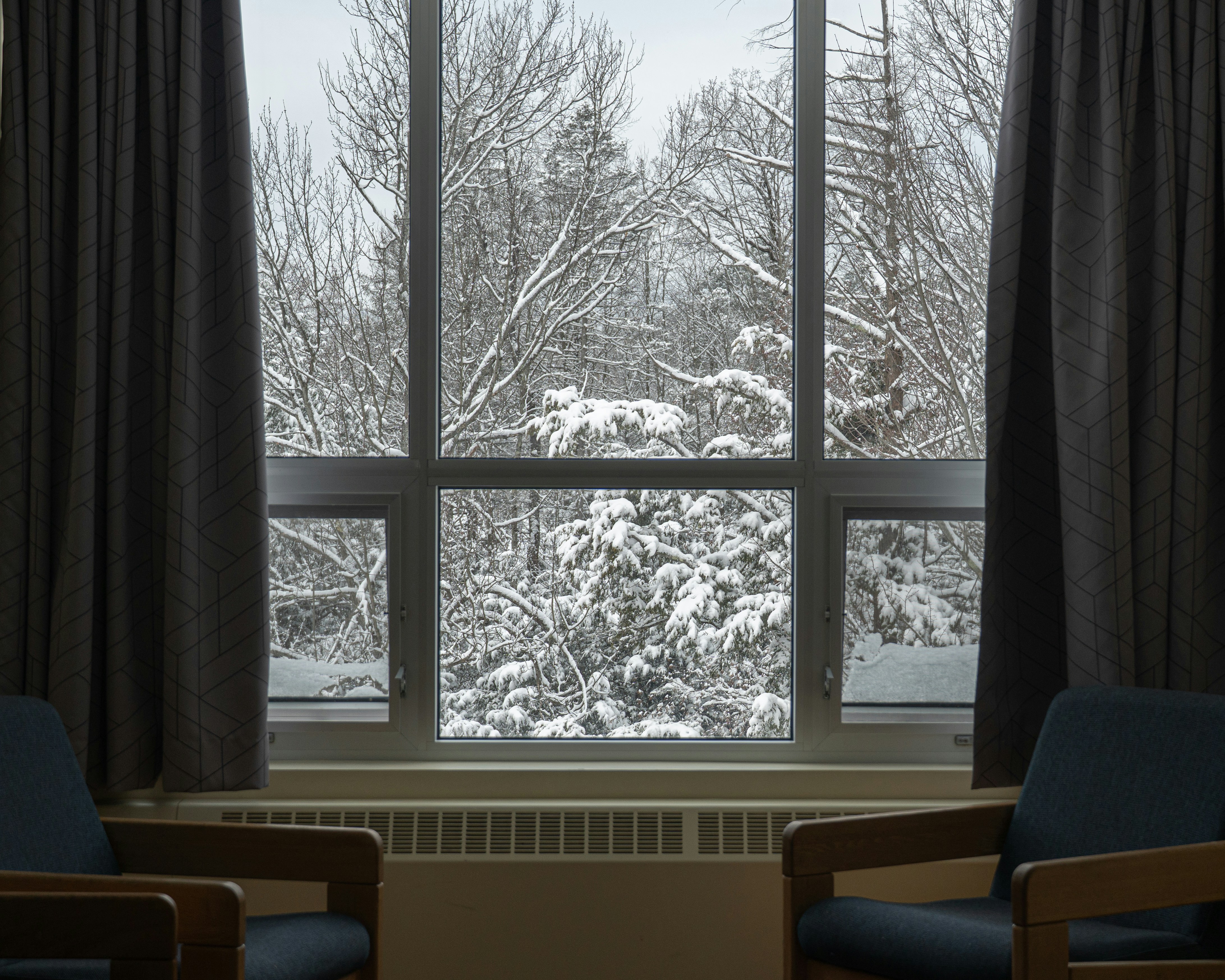 Snowy trees are viewed through a window. photo – Free Winter Image on ...