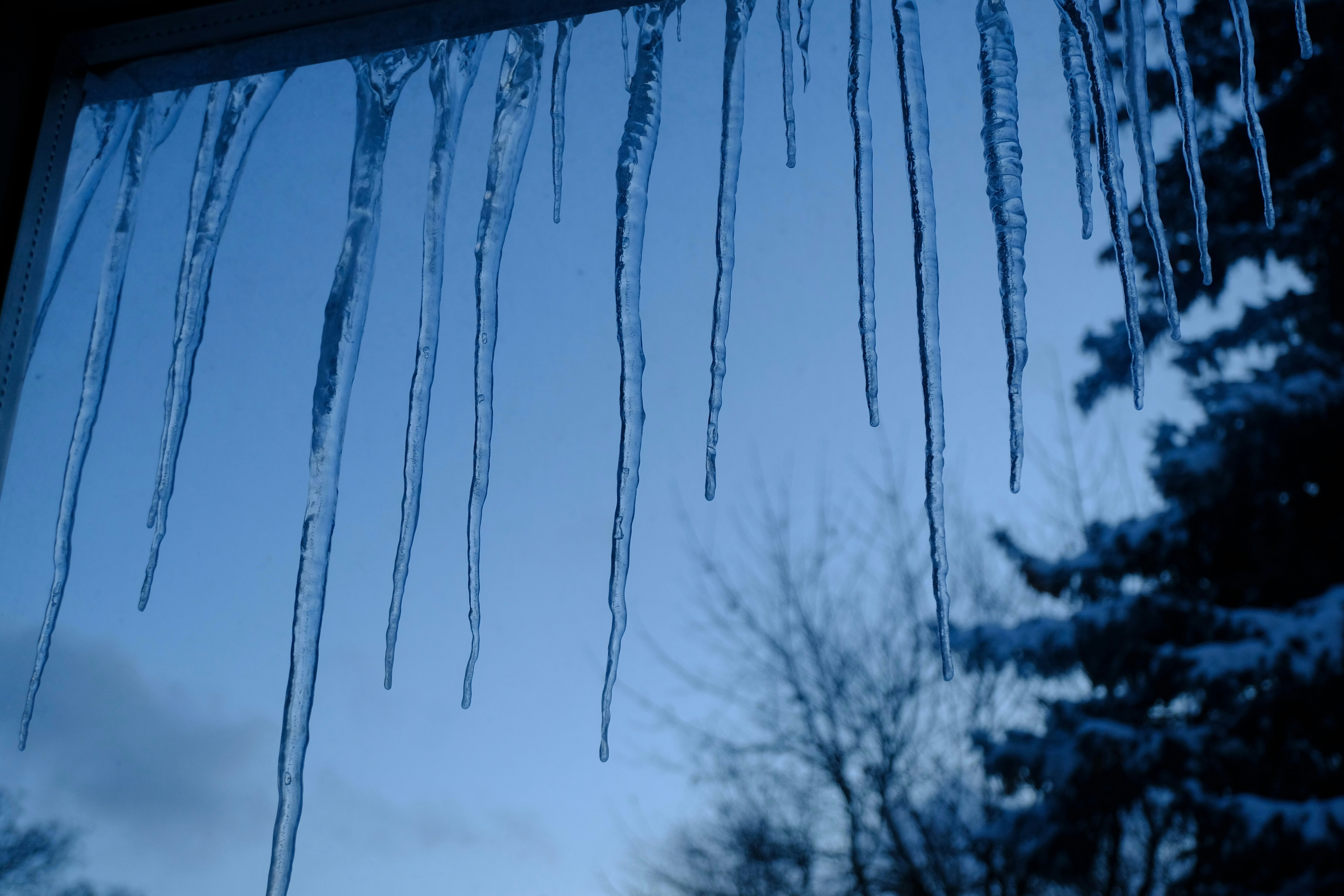 Icicles hanging from a window frame against a twilight sky, surrounded by snow-covered trees.