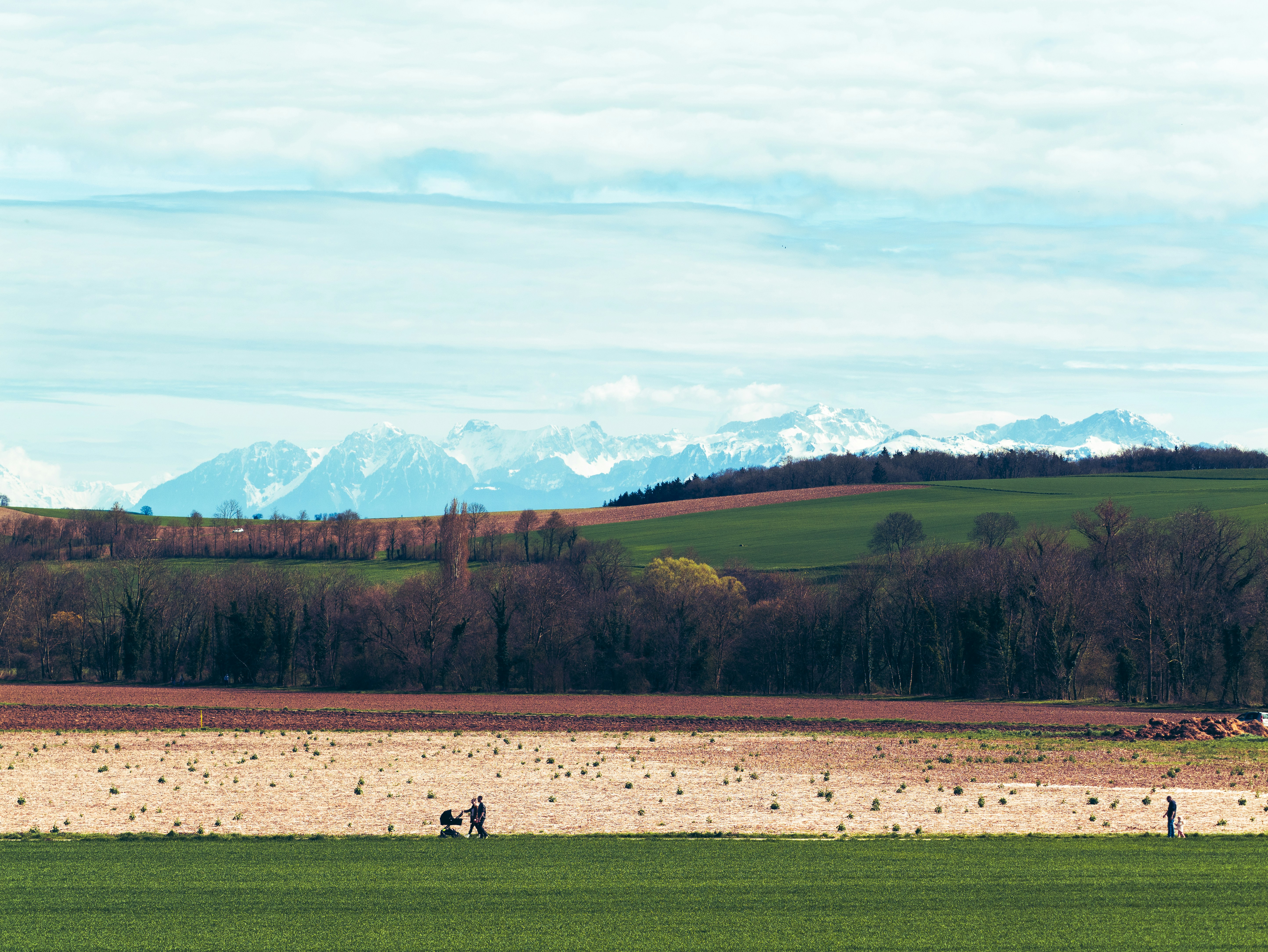 Verdant fields and barren trees stretch towards distant snow-capped mountains under a cloudy sky.