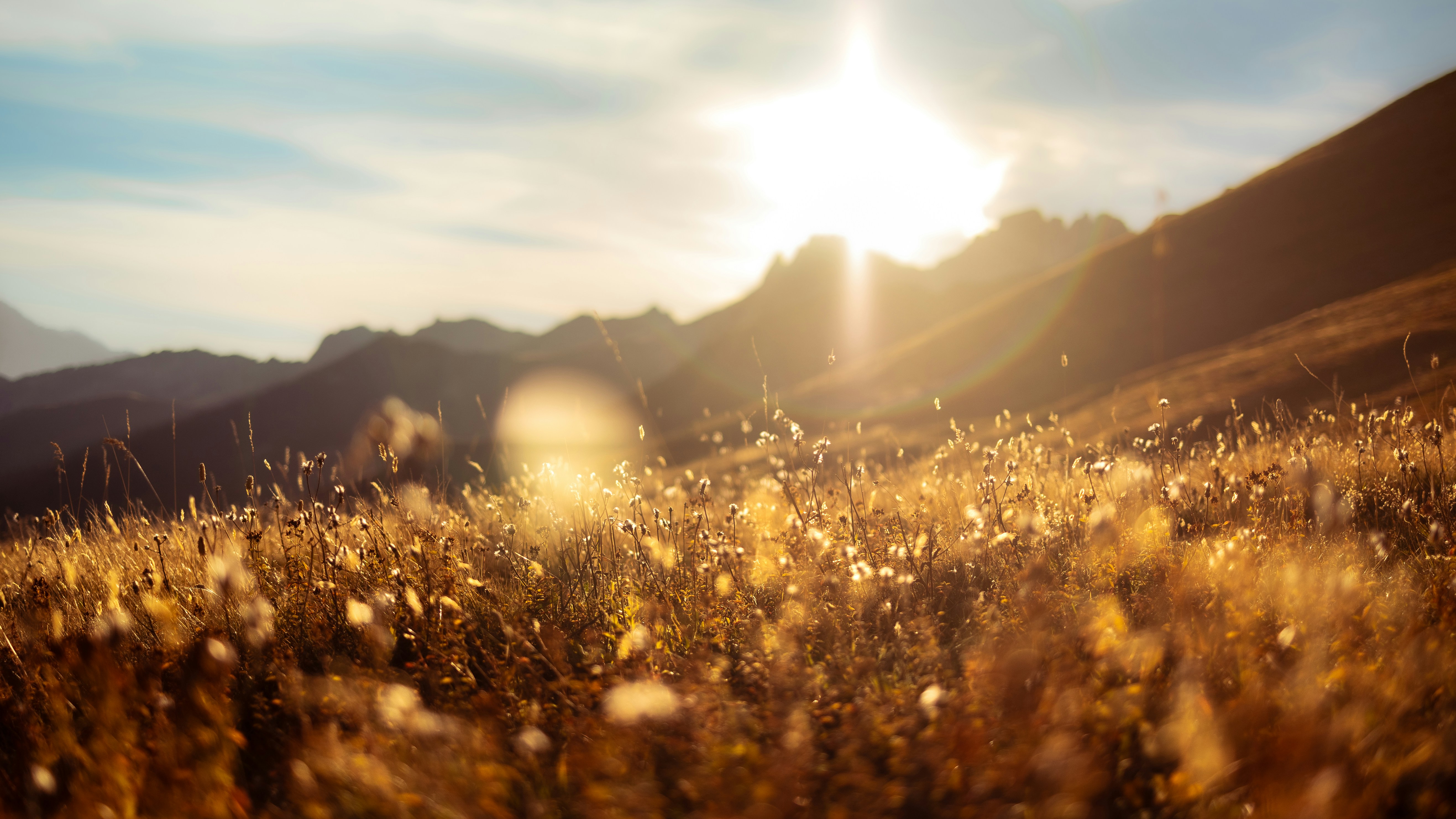 Sun setting over a sunlit meadow with distant mountains in the background.