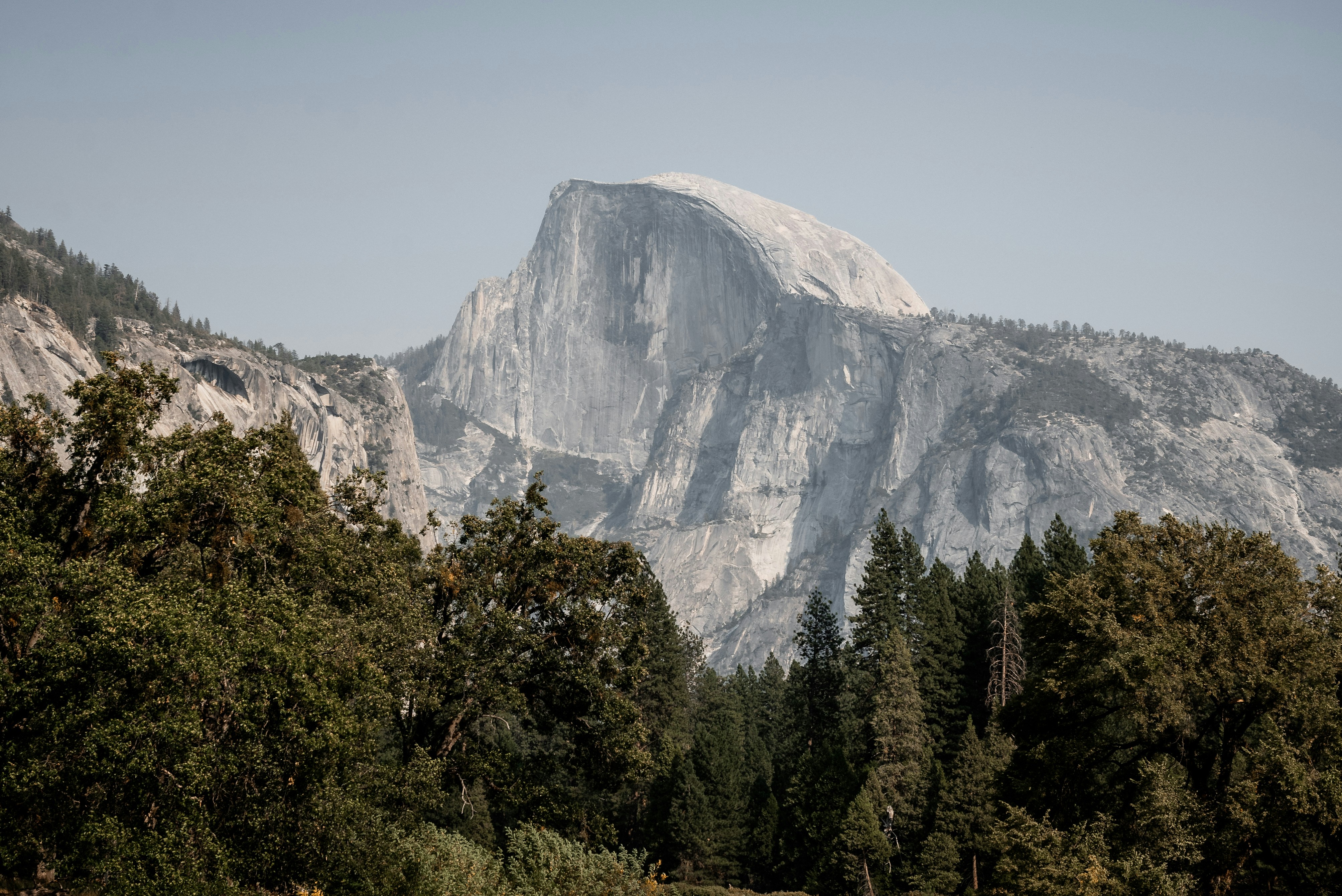 Half Dome rising prominently above a forested landscape under a clear sky.