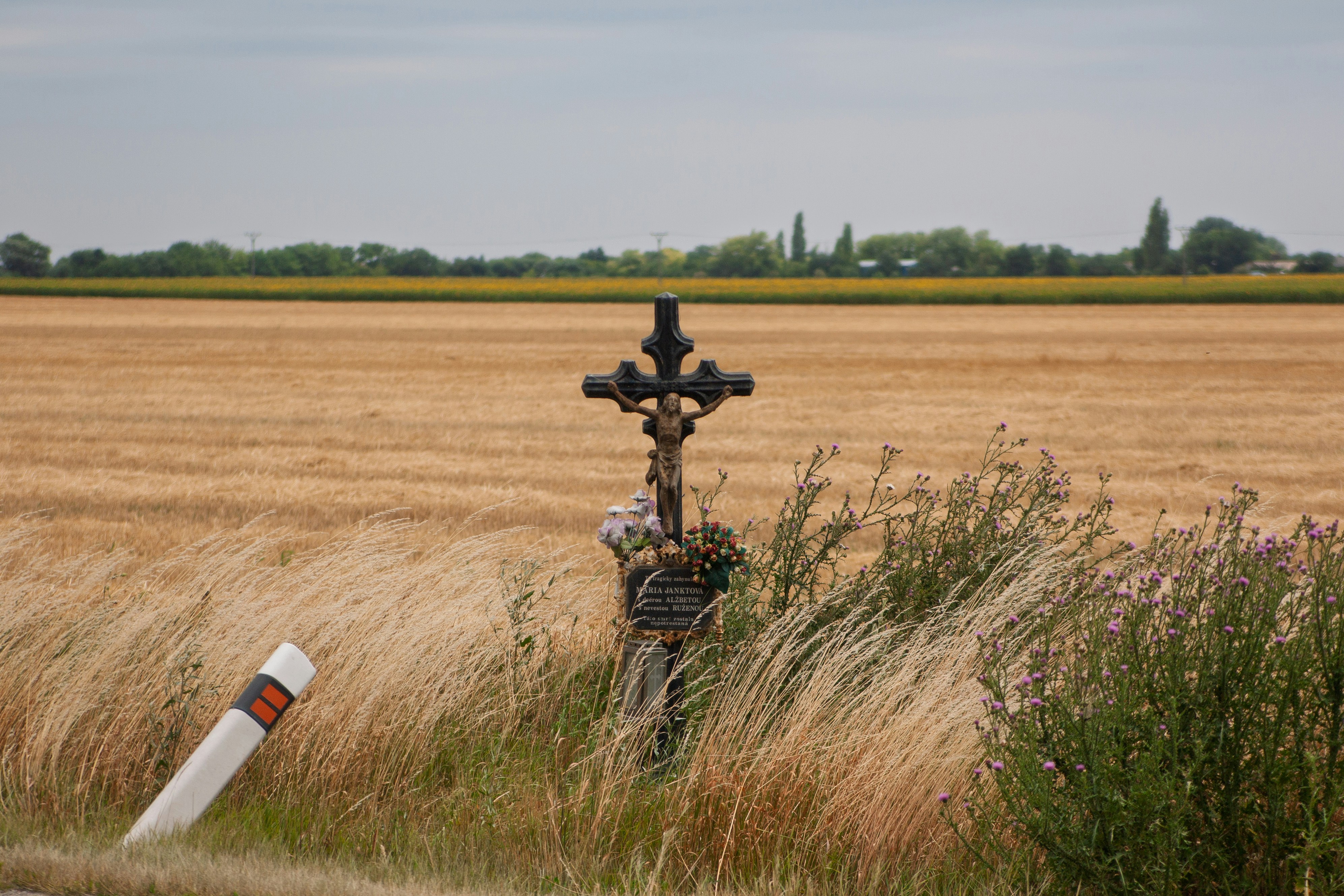 Weathered Cross in a Golden Field