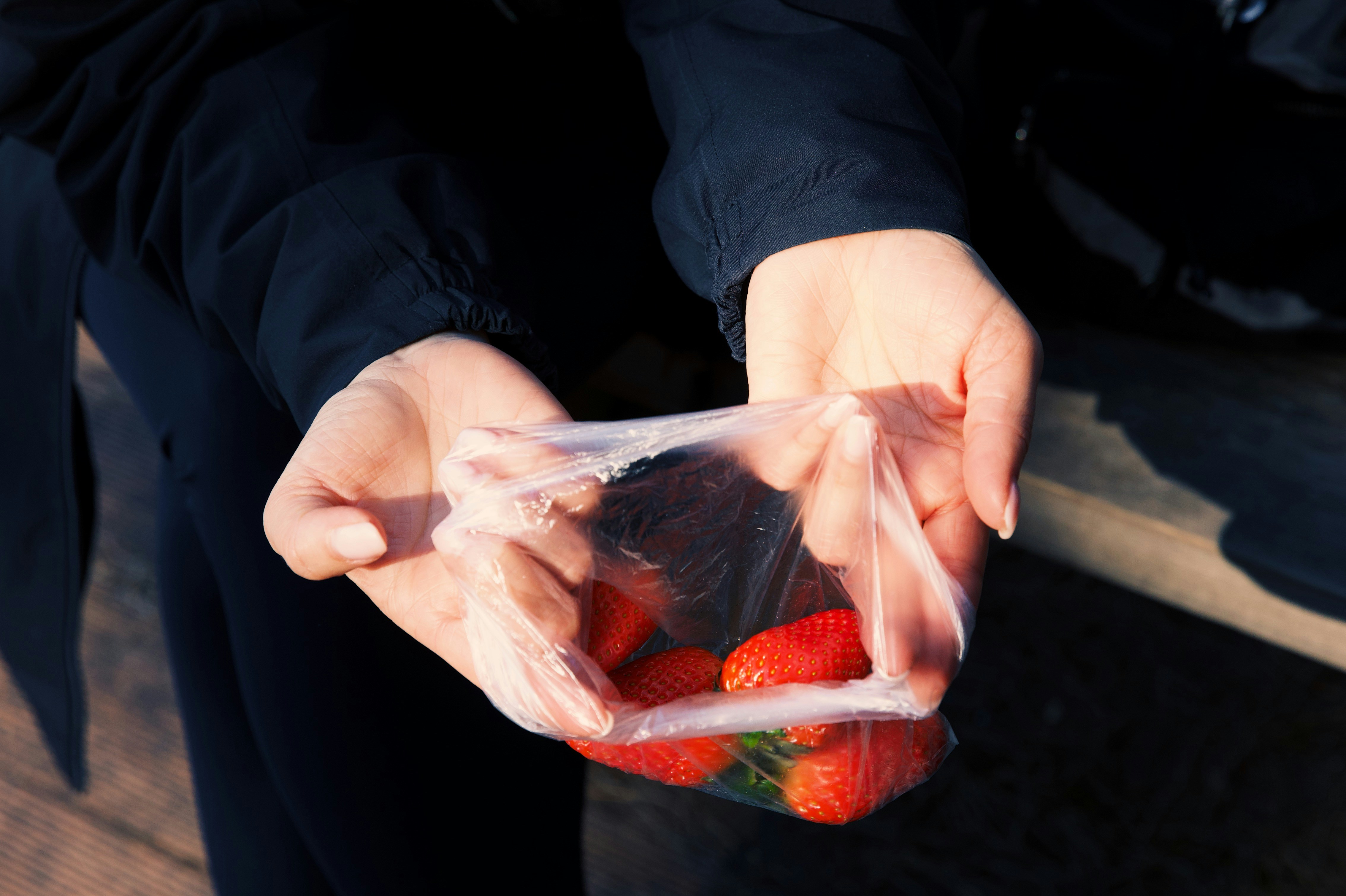Harvested Delights: A Handful of Fresh Strawberries