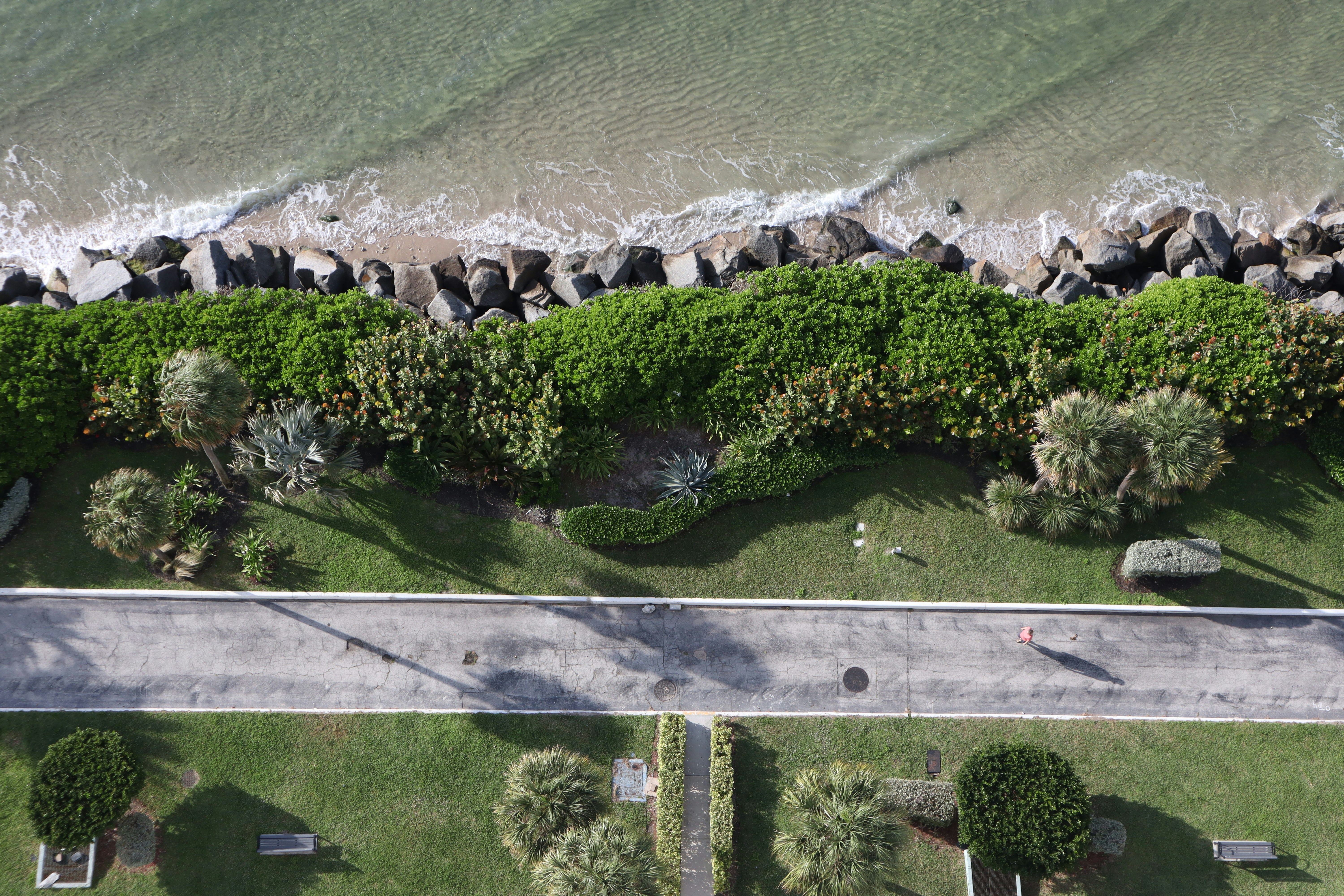 Aerial view shows a beach, greenery, and a road. photo – Free Wallpaper ...
