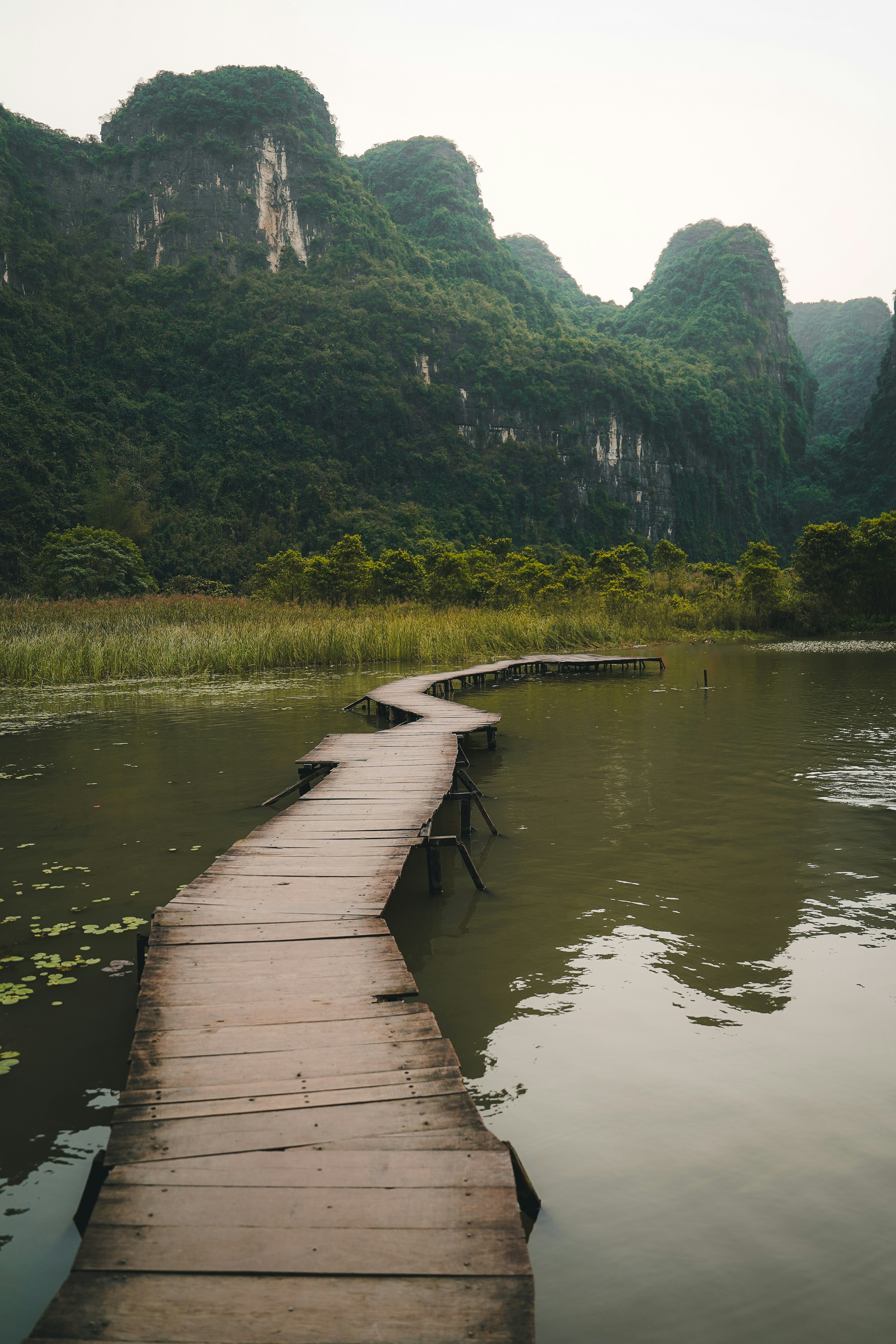 Path of Serenity: A Wooden Promenade Through Misty Karst