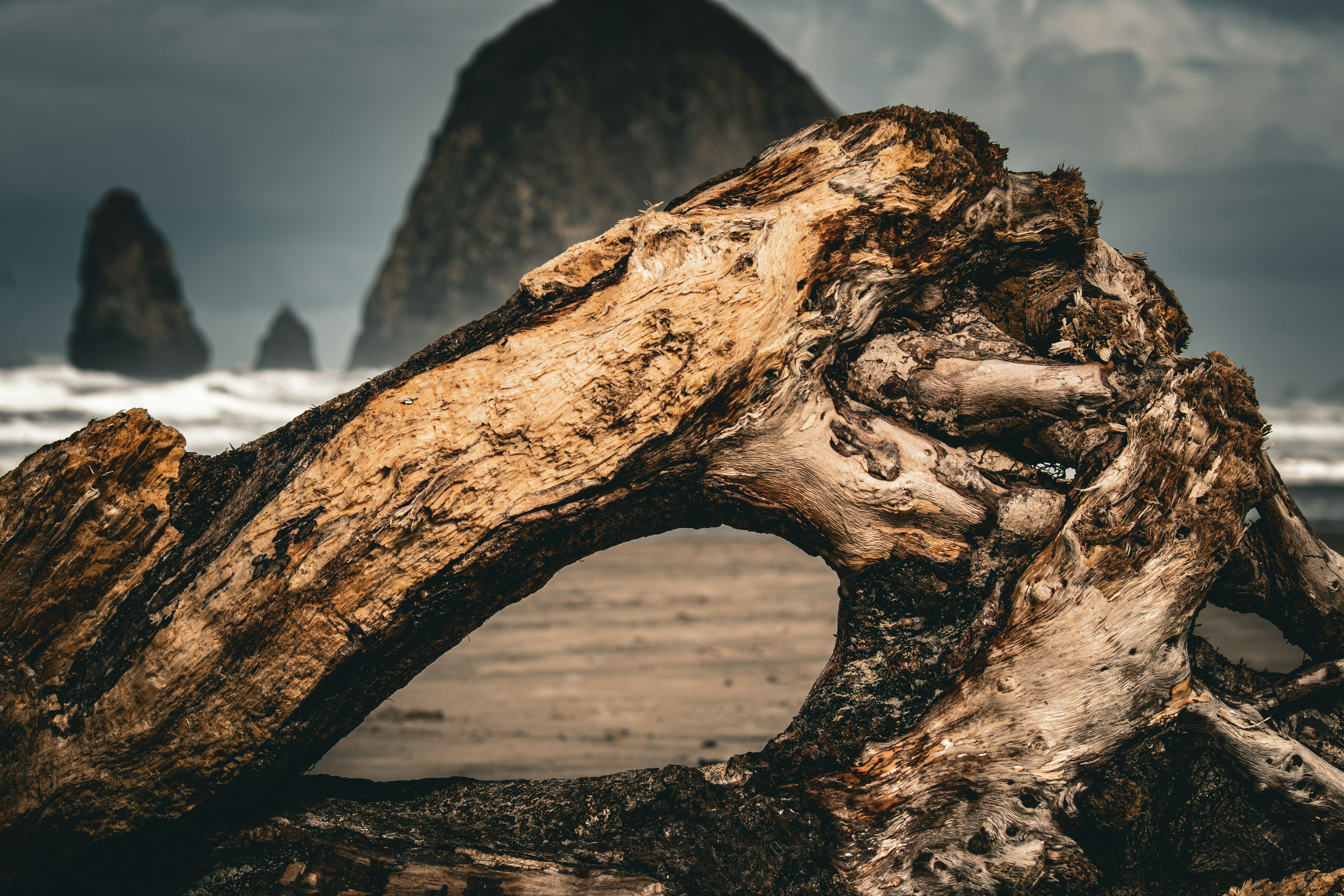 Driftwood Arch Framing a Stormy Seaside