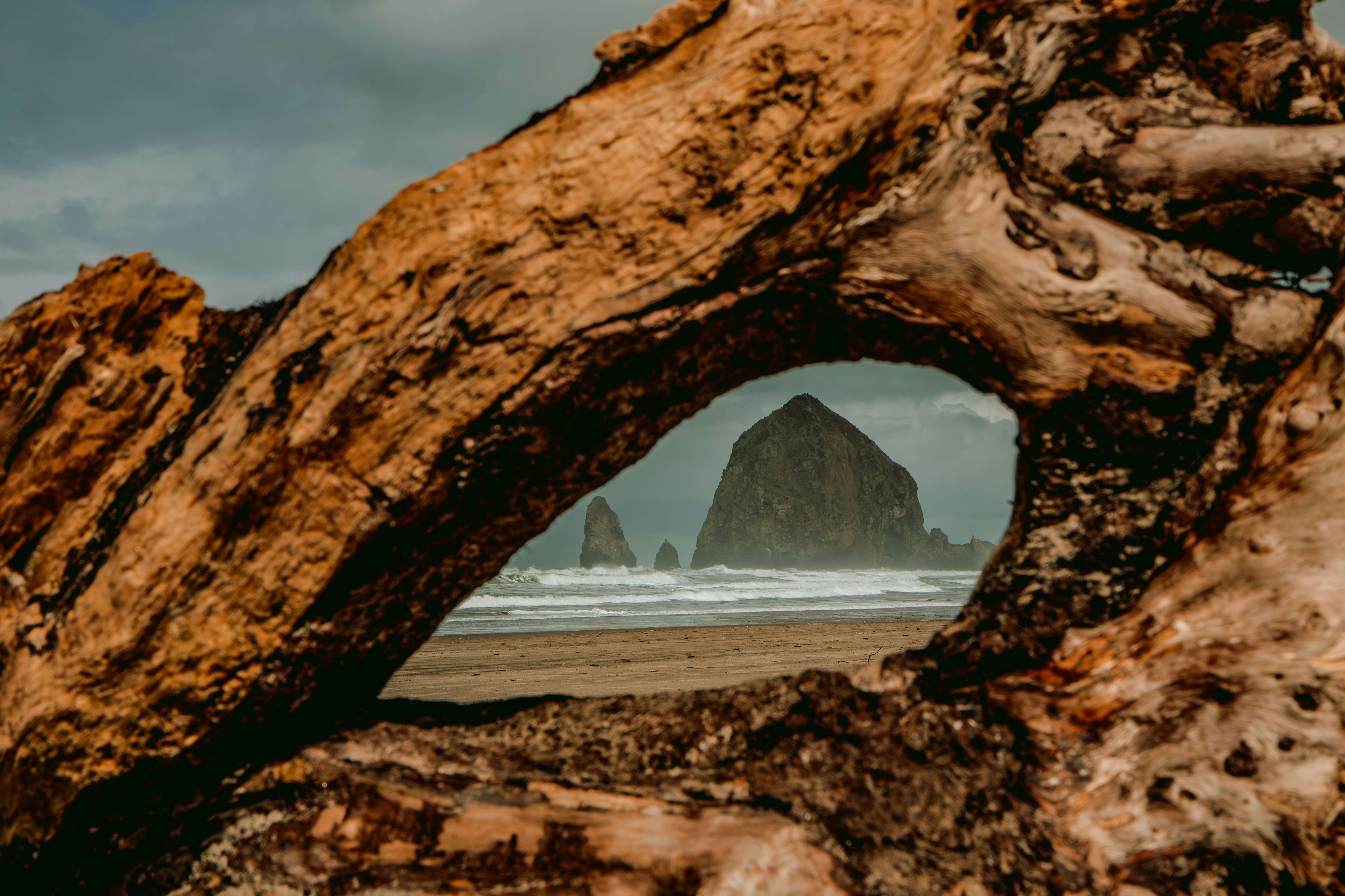 Sea Window: Framing a Distant Isle Through a Weathered Driftwood Arch