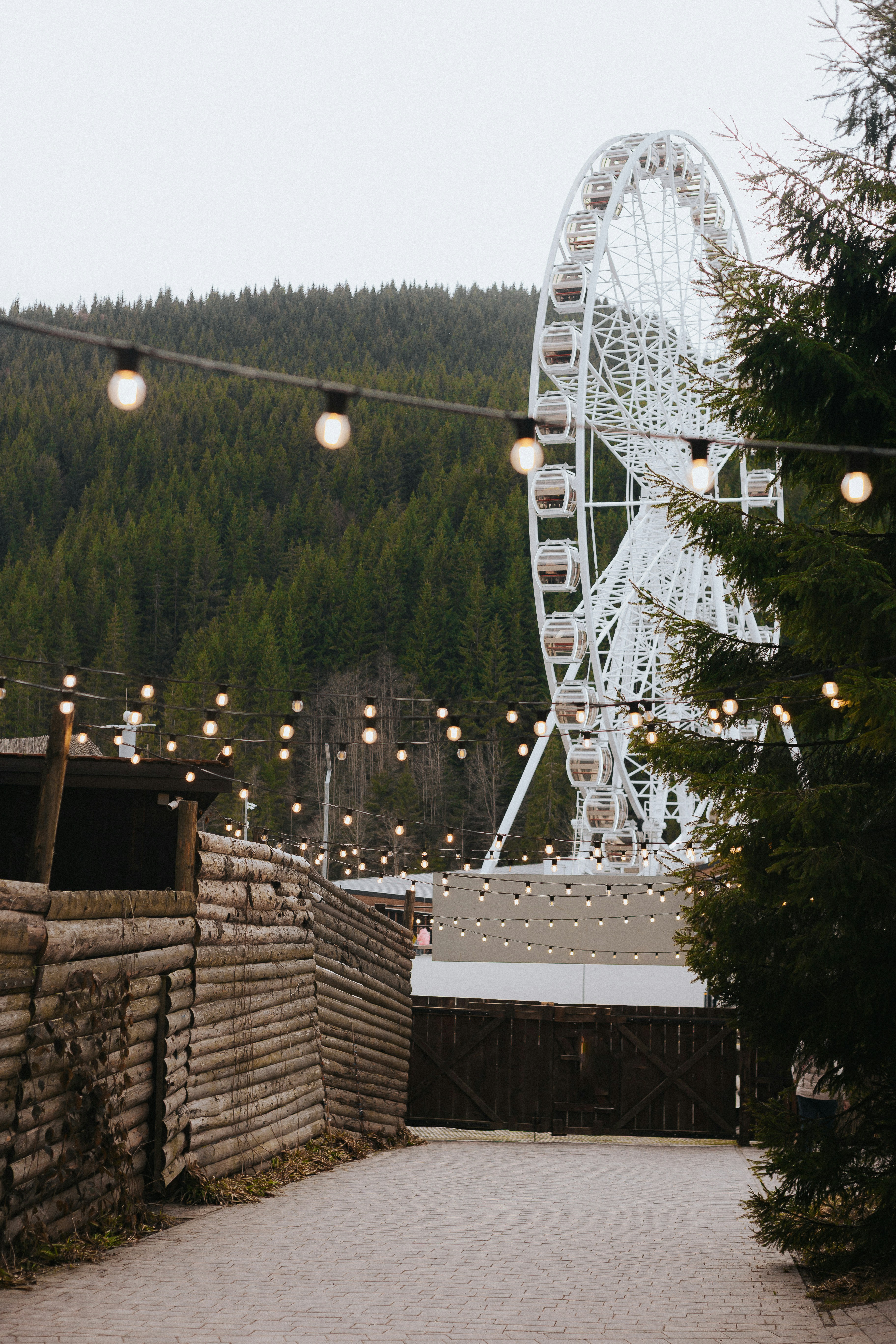 Svitlana Rusak (@svitlana_rusak) | Komunitas Foto Unsplash