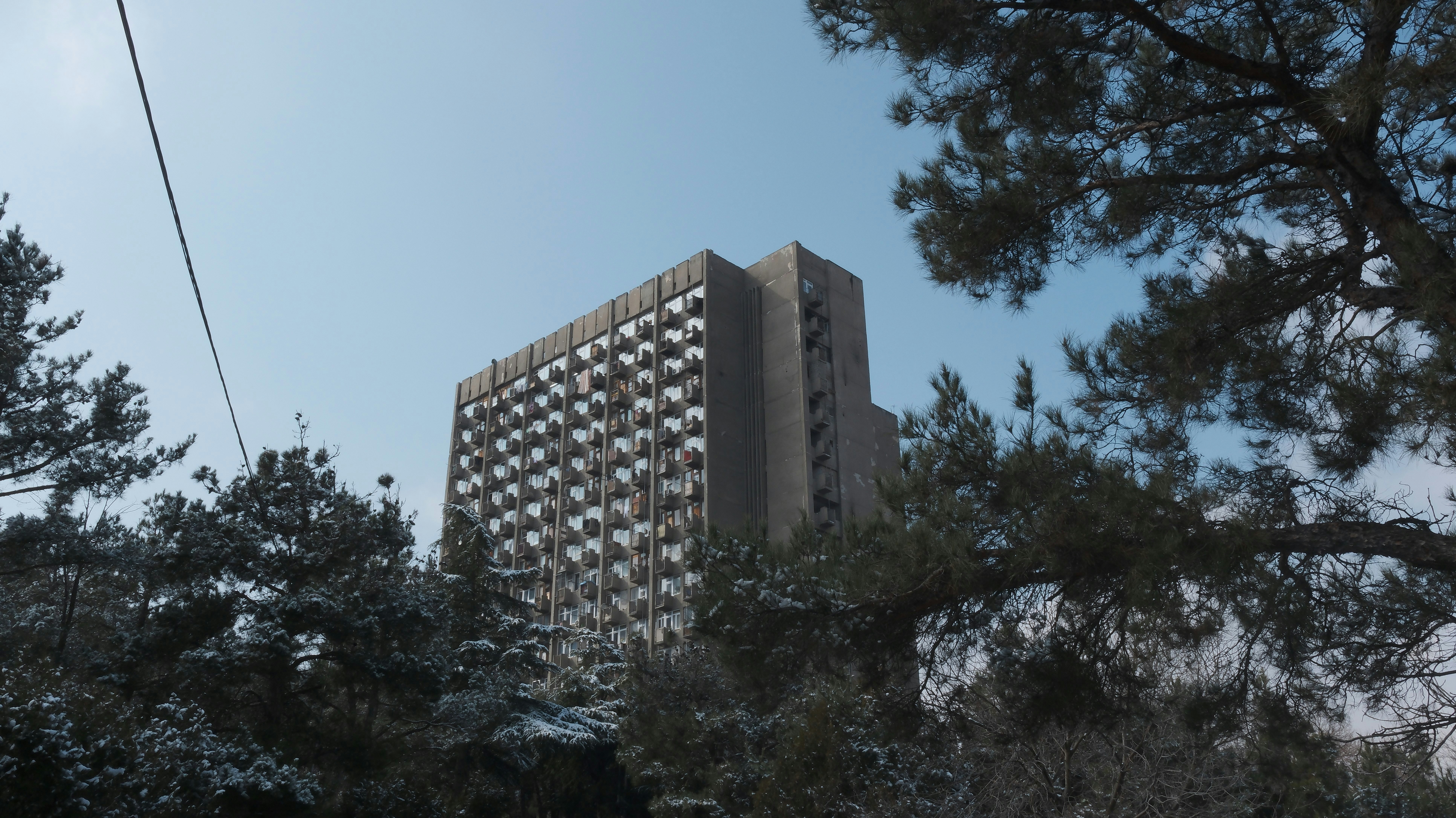 Concrete Monolith Amidst Winter Pines