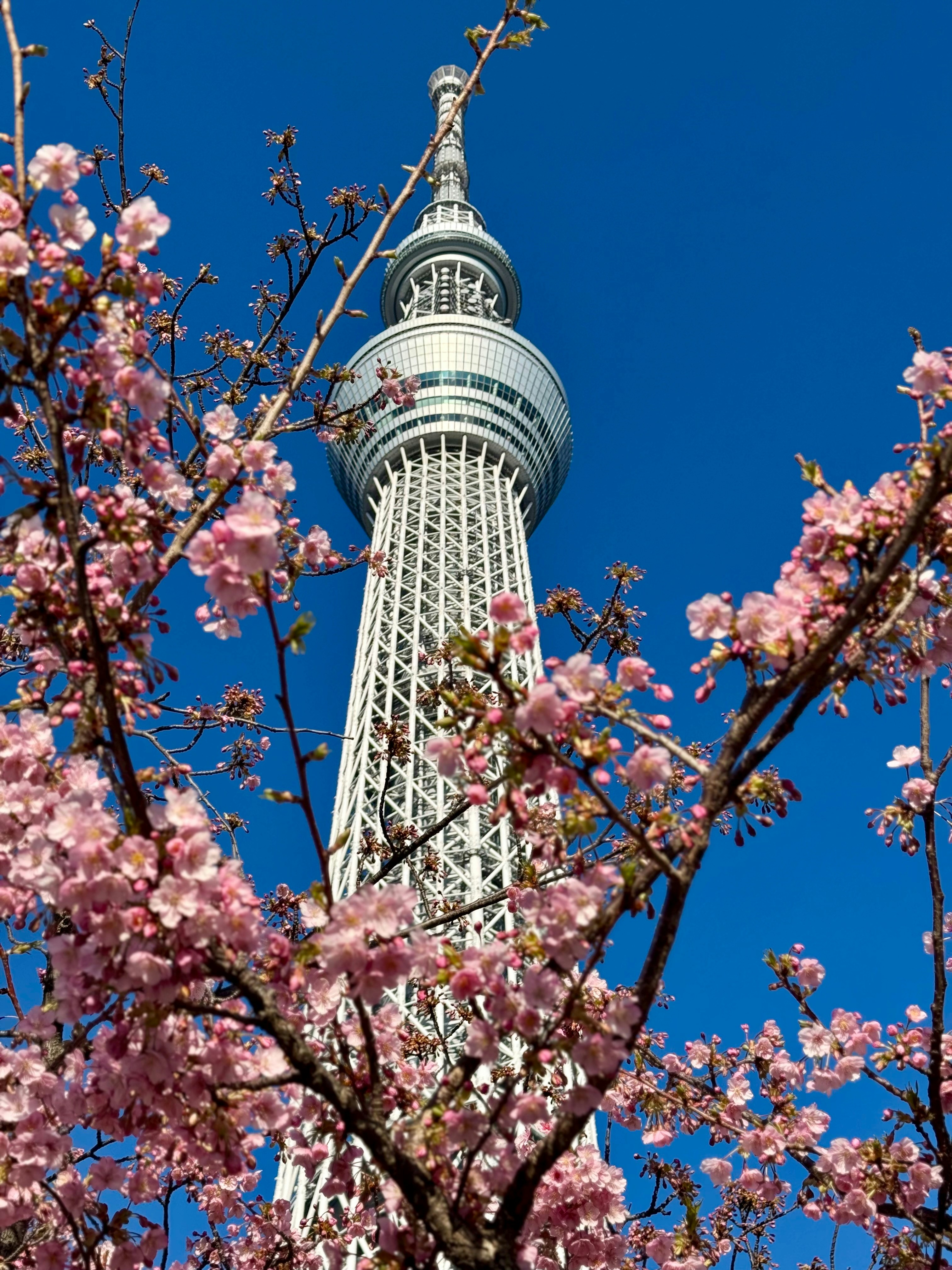 Photo by Veronika Bondarenko with Apple iPhone 15 Pro Max