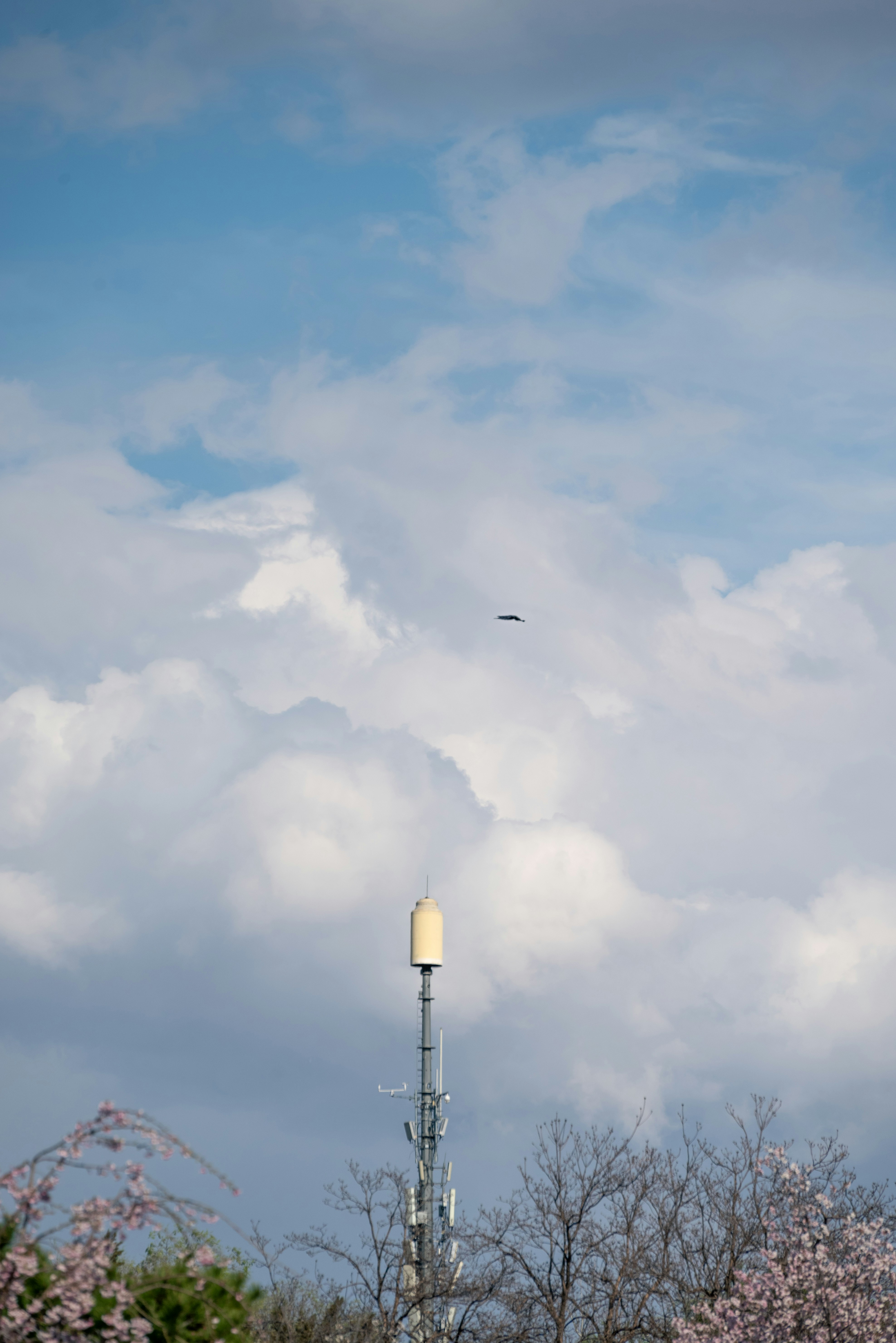 Single Black Bird Over a Tower Amidst Towering Clouds