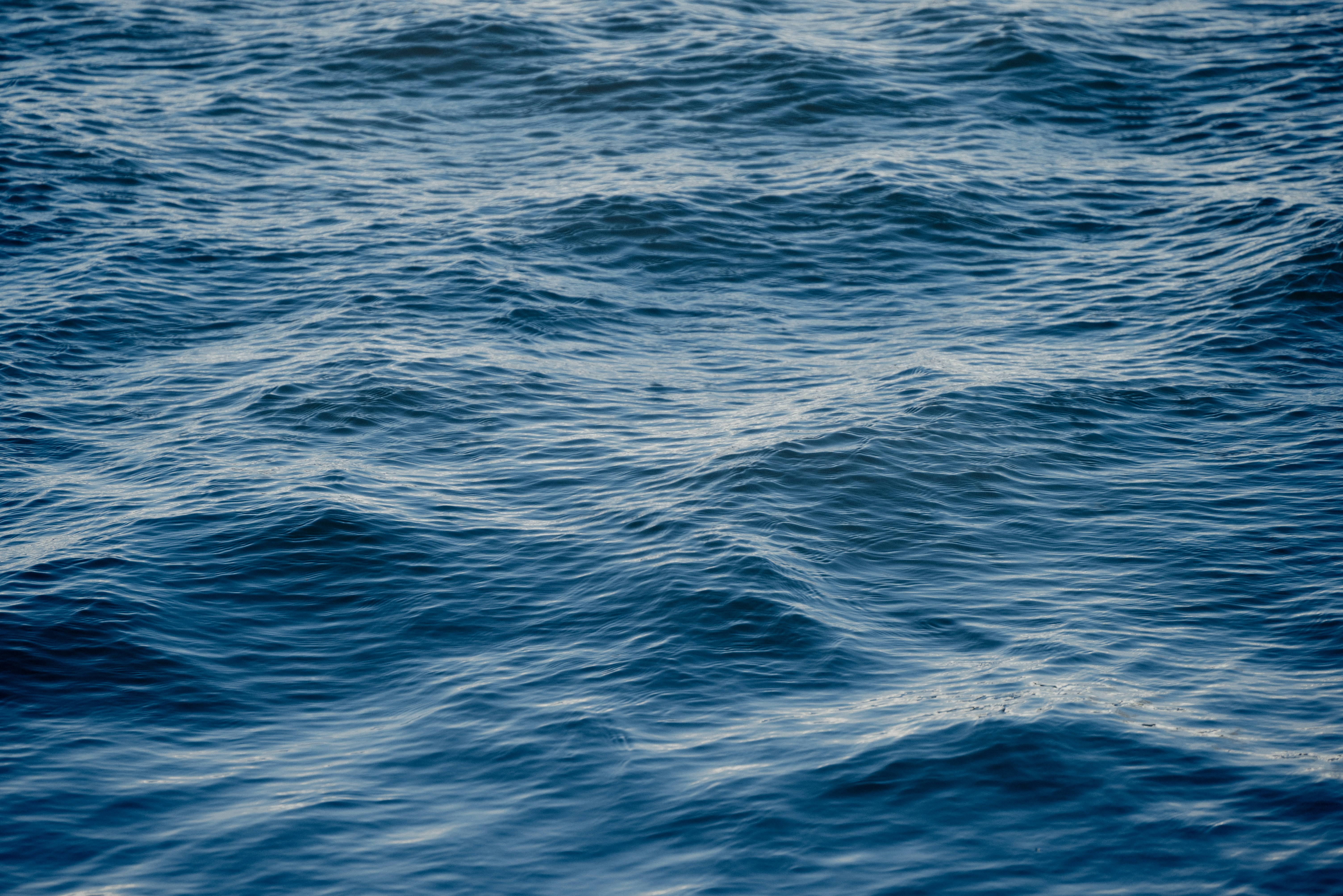 Wavy, blue water covers the image. photo – Free Lake Image on Unsplash