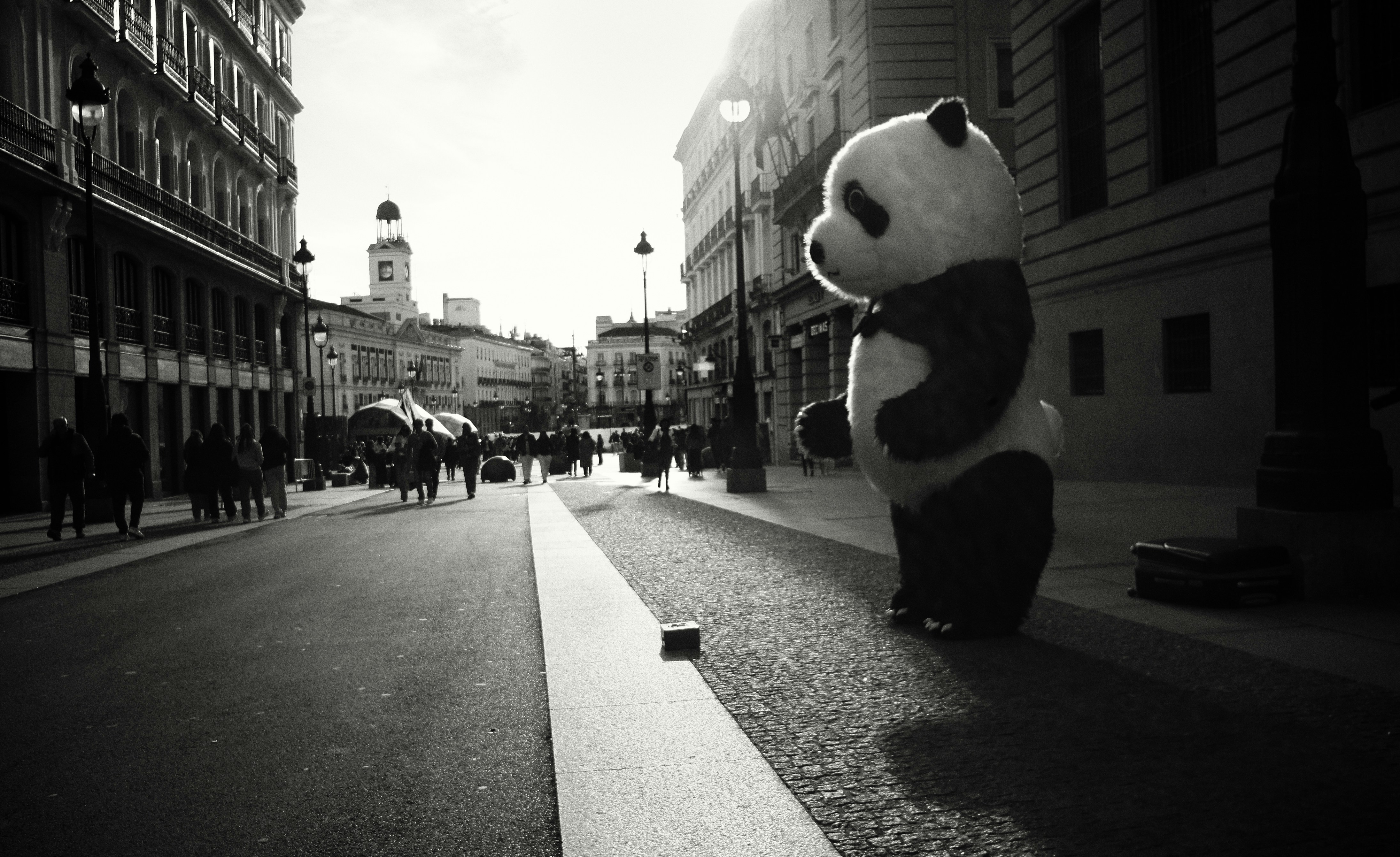 Panda on the Pedestrian Promenade: A Quiet Monochrome City Moment
