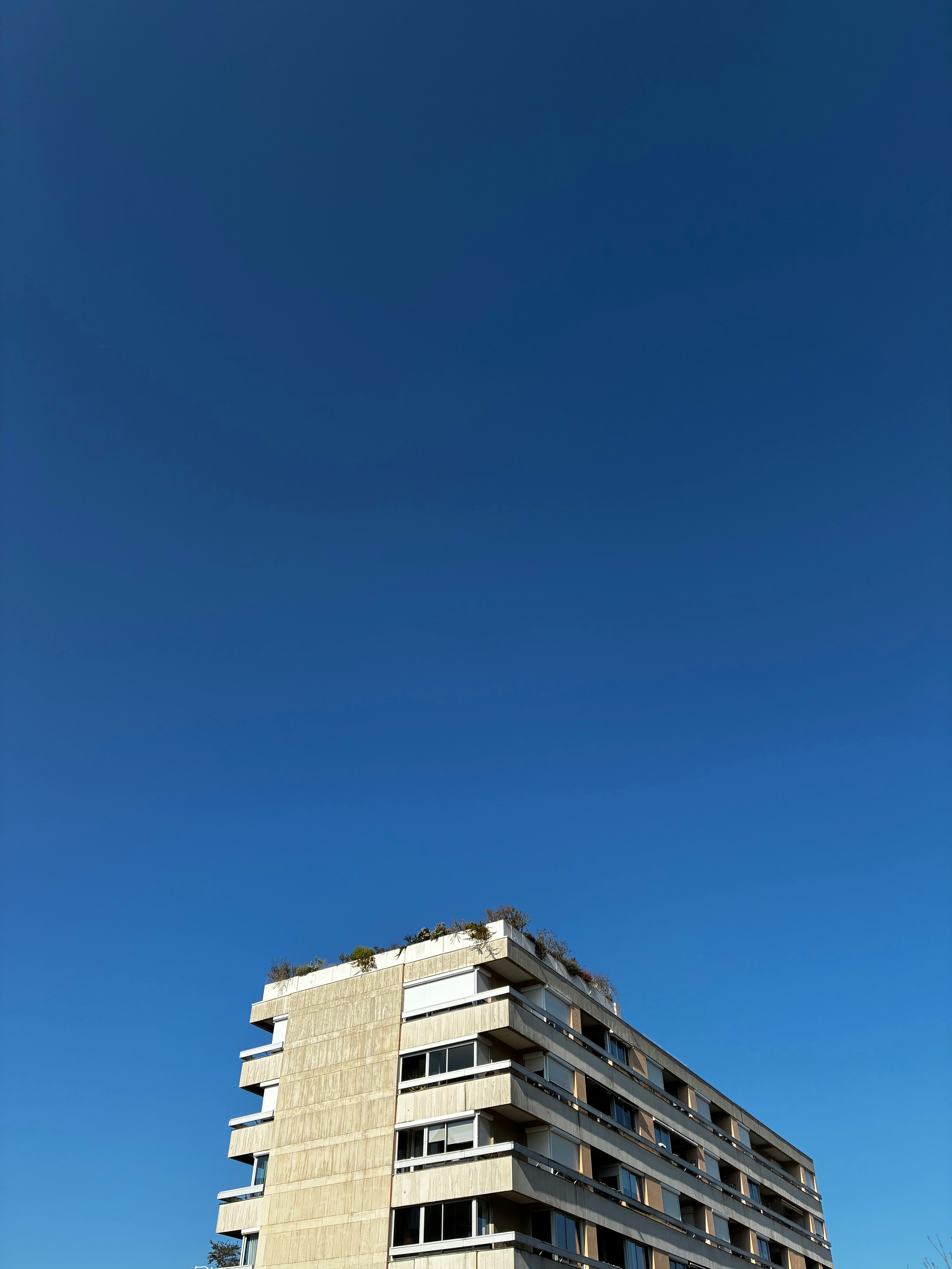 Sample photo from Apple iPhone 16e