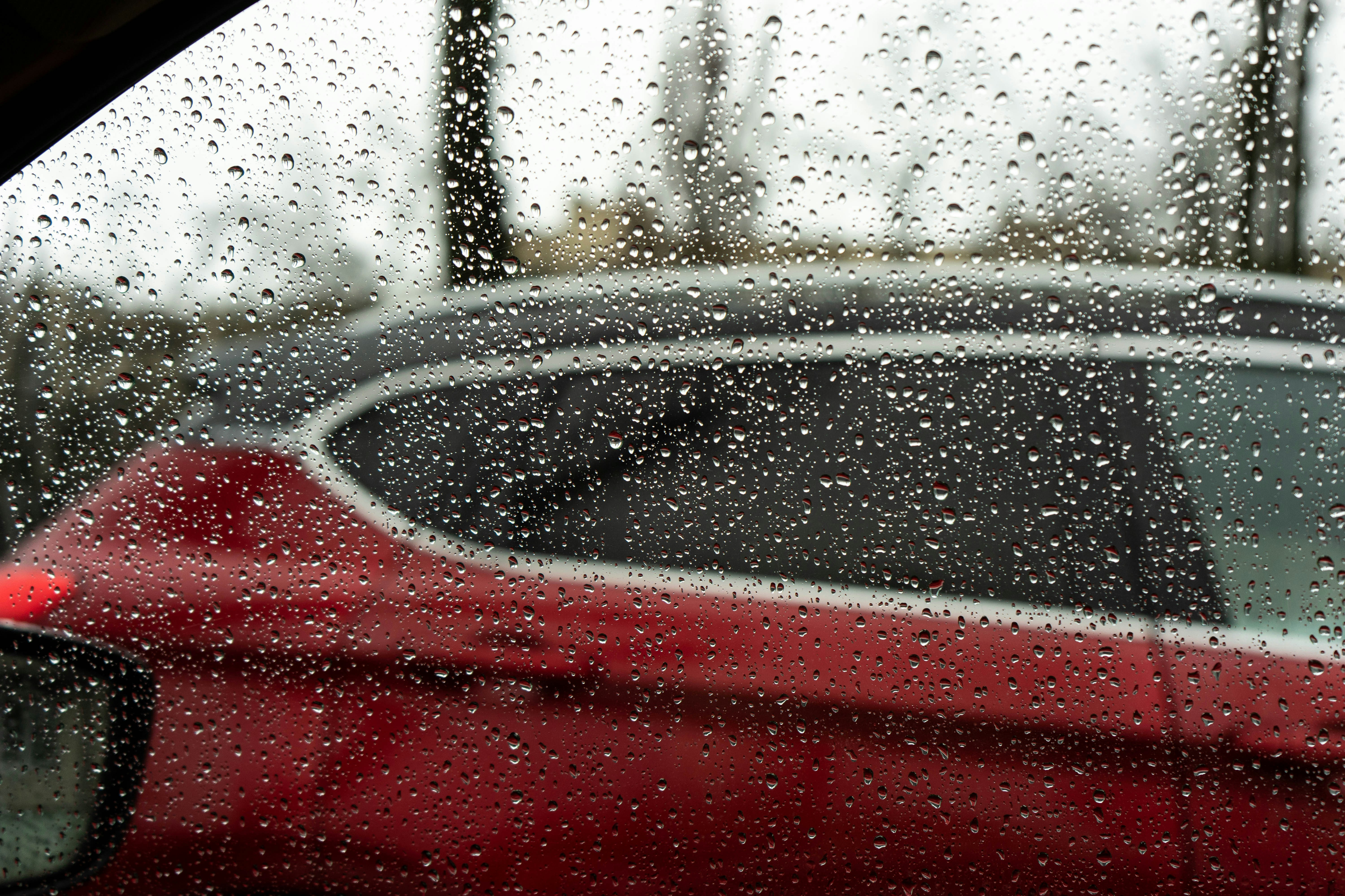 Photo by Vitaliy Gb with Sony Alpha 7