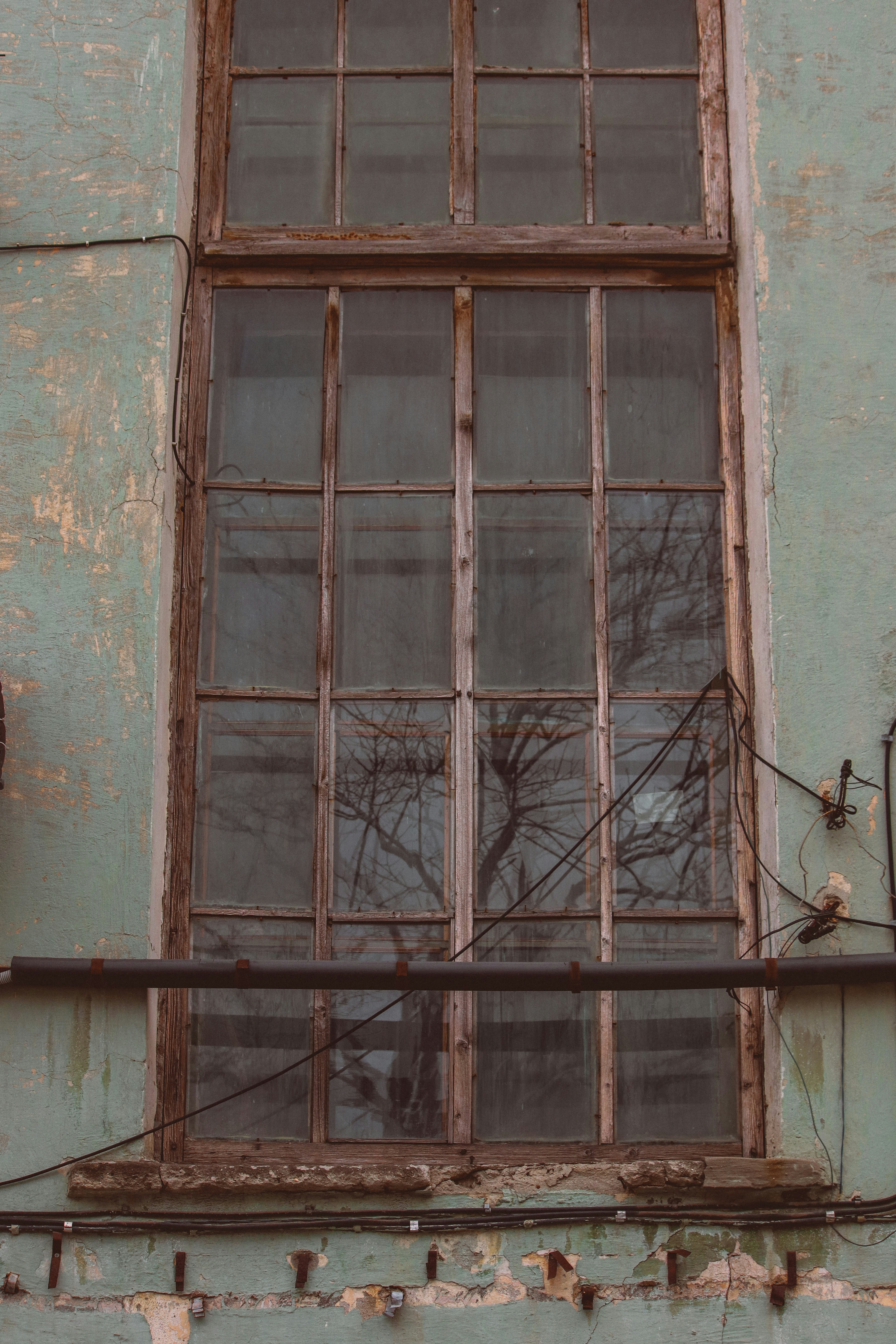 An old, multi-paned window reflects a tree. photo – Free Spring flowers ...