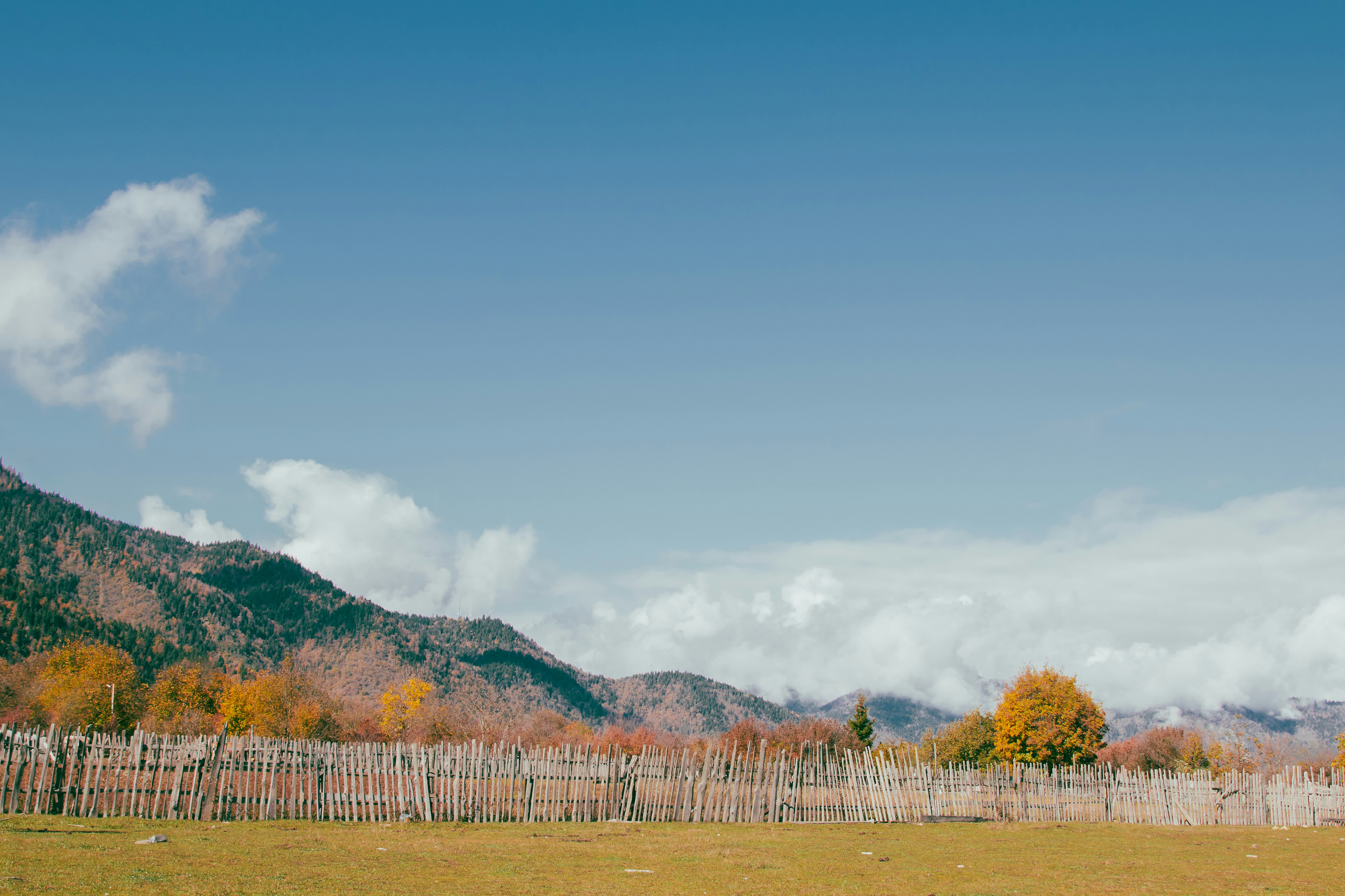 Expansive view of mountains under a clear sky with autumn foliage in the foreground.