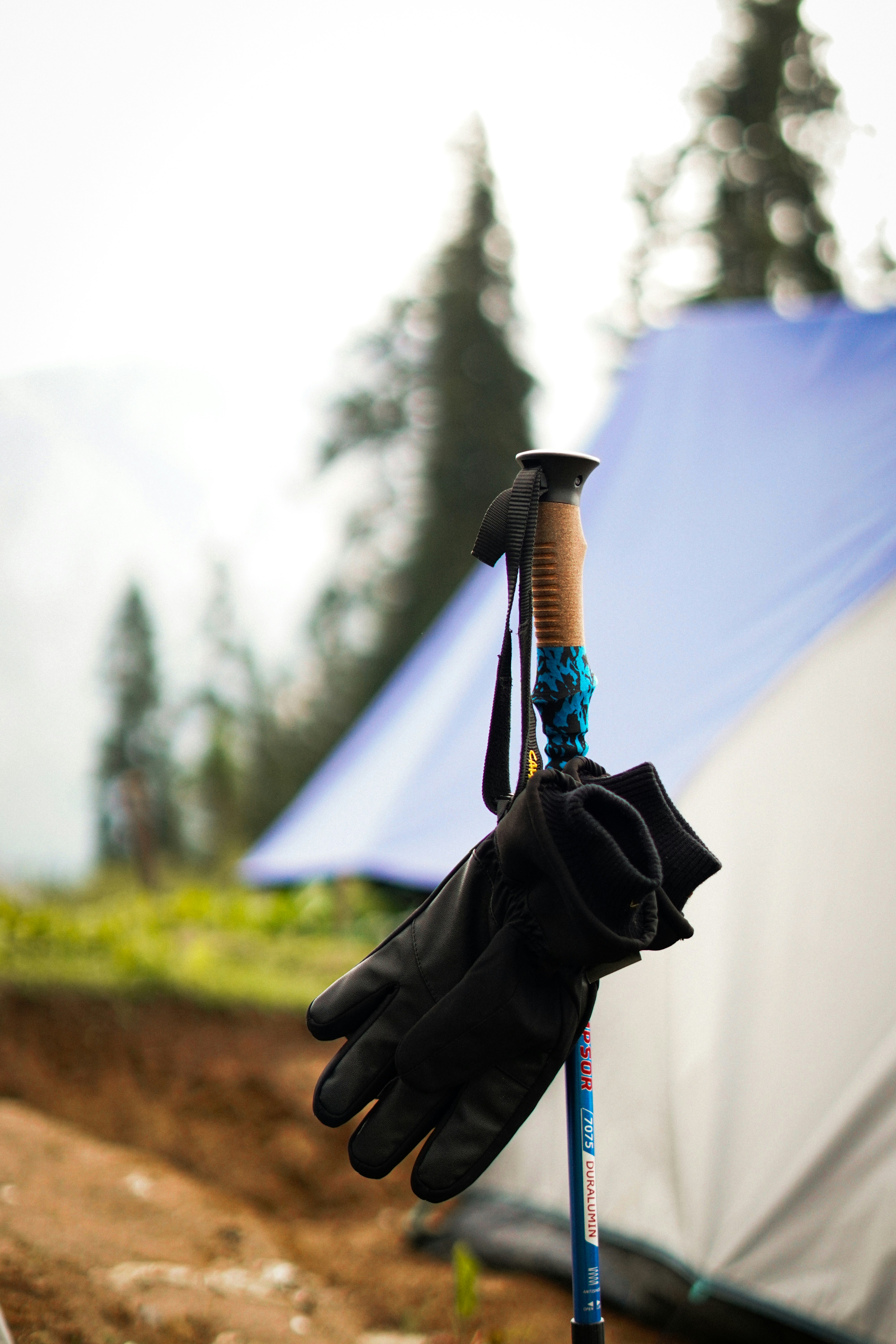 Gear Standstill: A Trekking Pole Framed by a Blue-Tented Camp