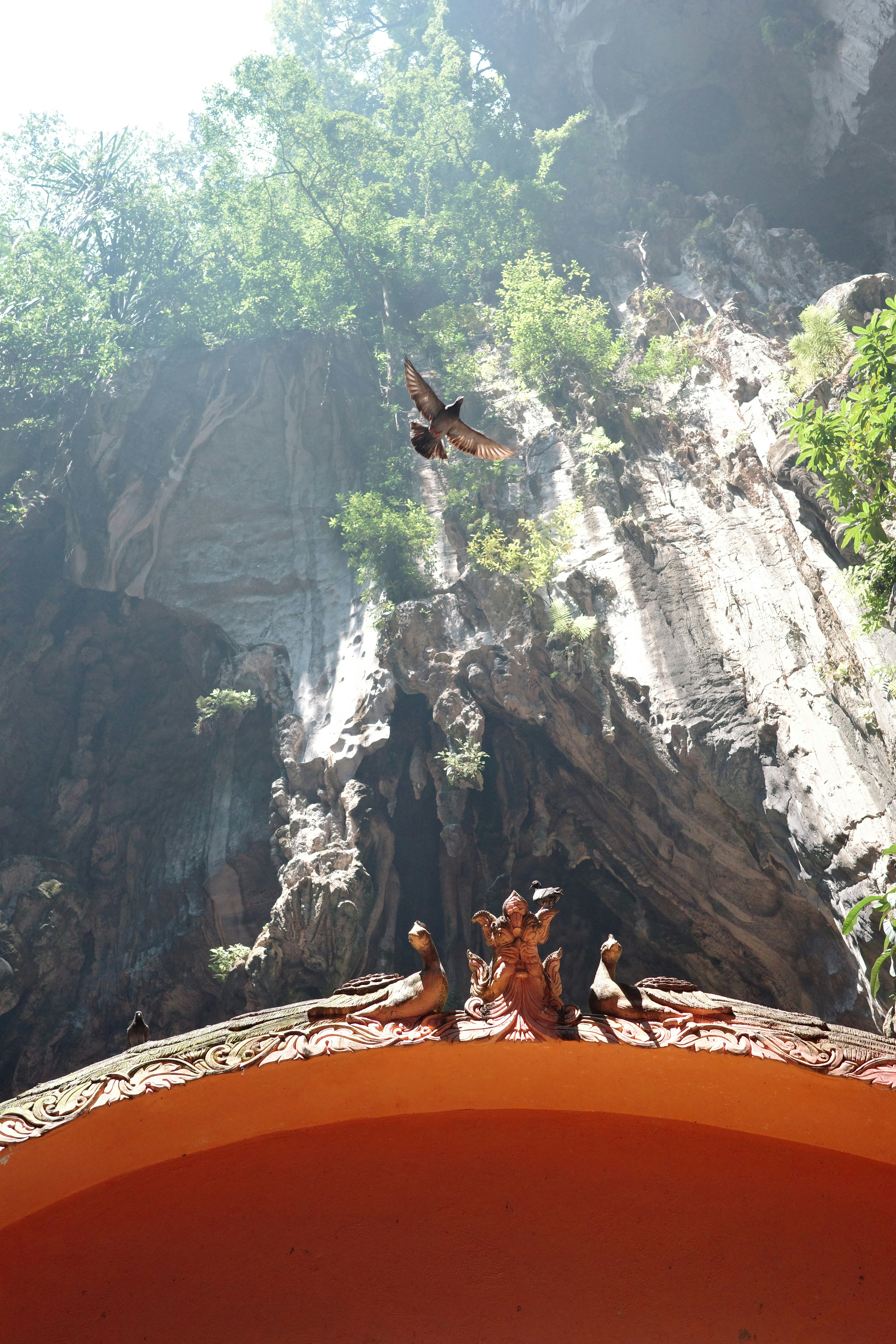 Hawk in Flight Over a Carved Orange Roof Against a Cliffside Canyon