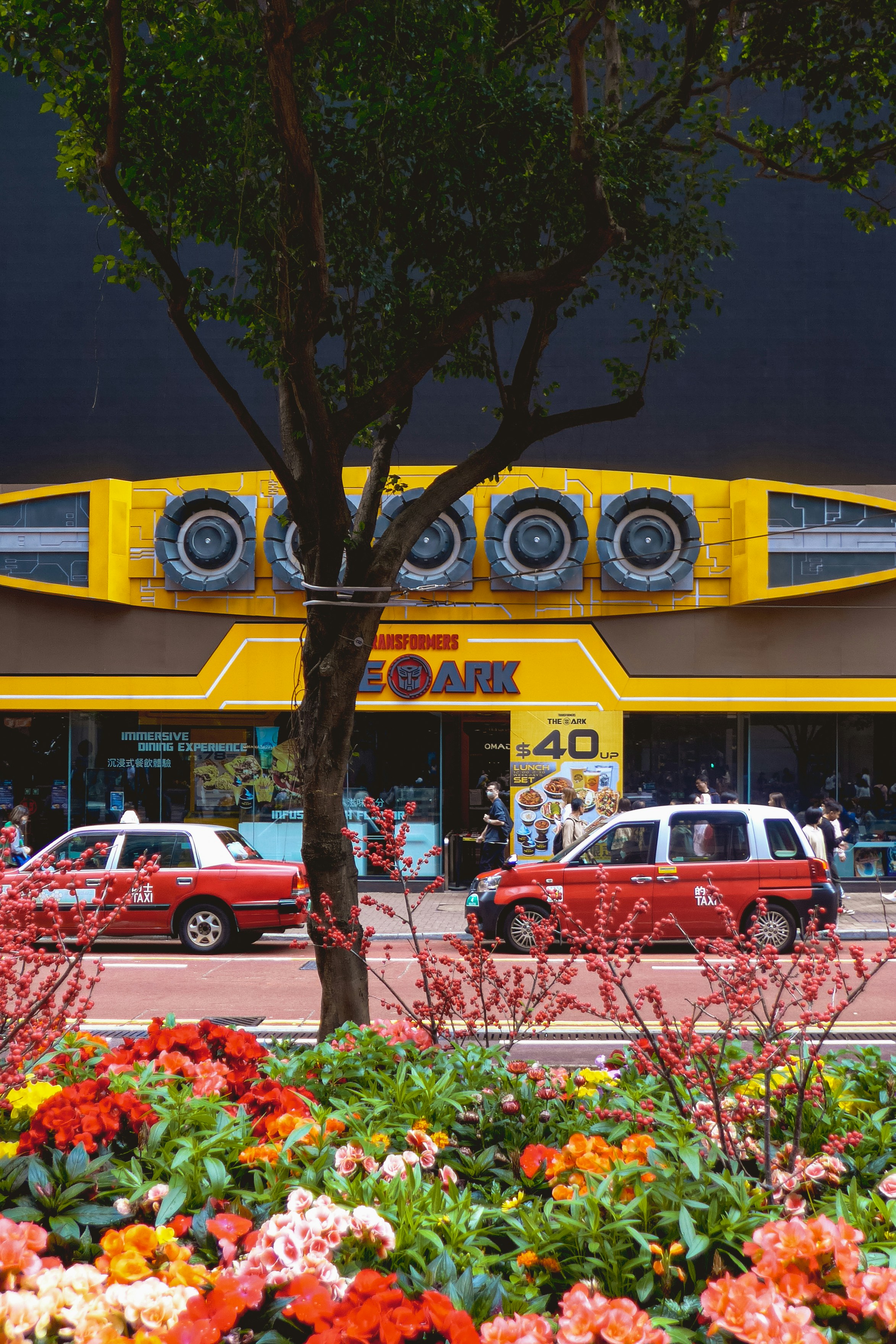 The Transformer Strip: Central Tree Framing a Bright Yellow Arcade Over Red Taxis